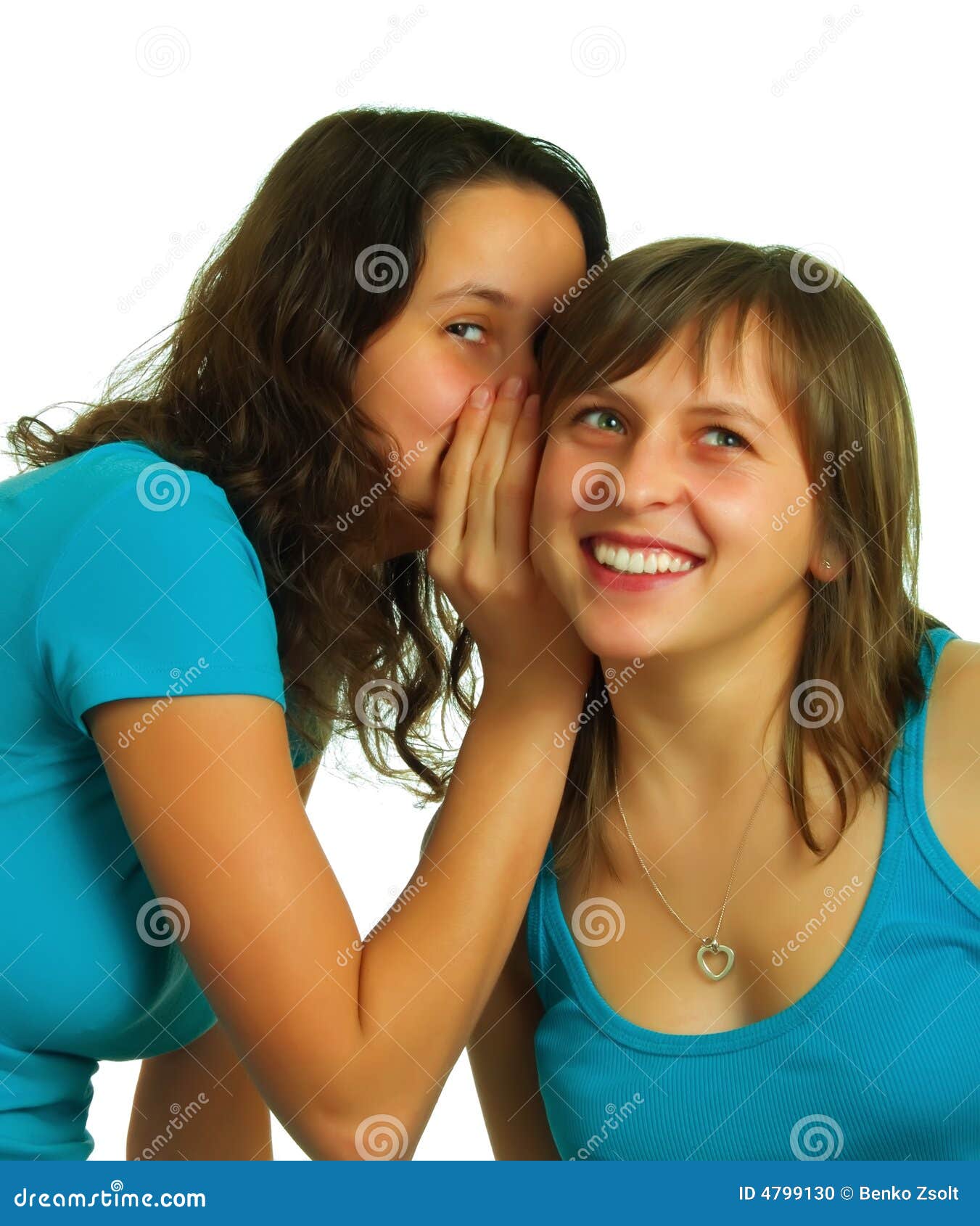 Girlfriends stock photo. Image of love, girls, hair, model - 4799130