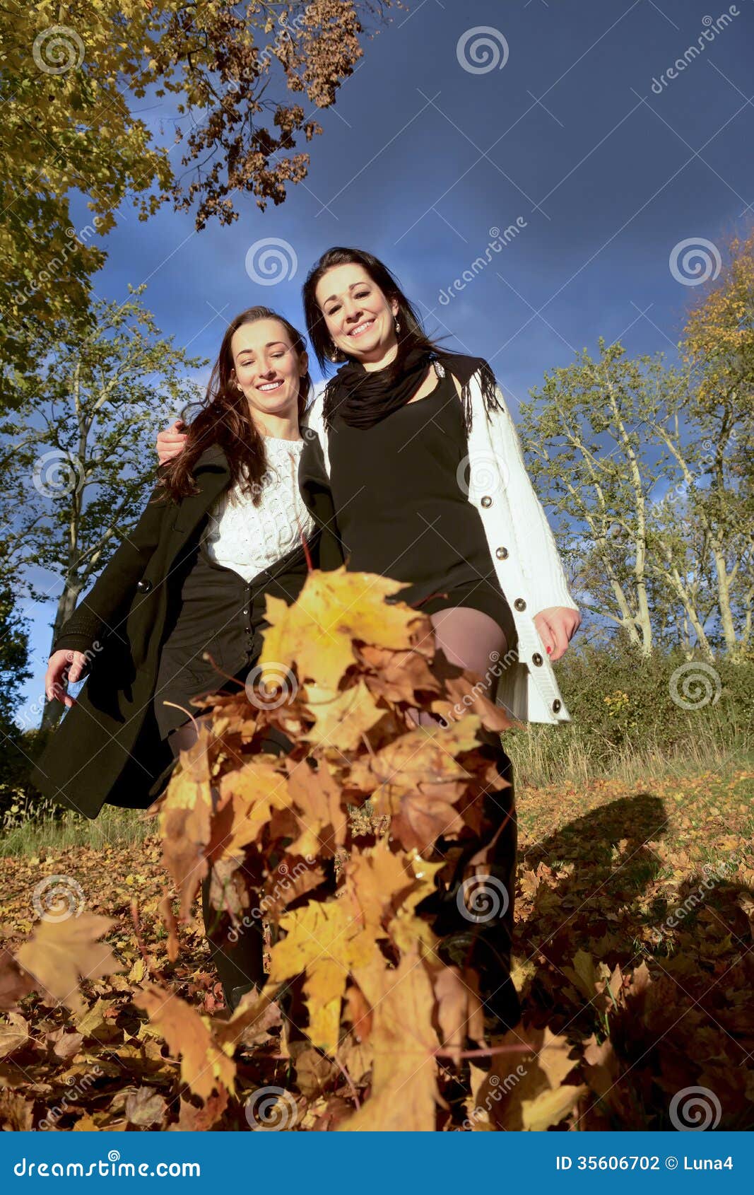 Girlfriends stock photo. Image of park, tree, enjoying - 35606702
