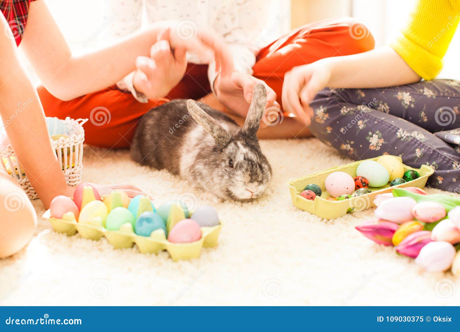 Girlfriends Playing with Rabbit Stock Image - Image of celebration ...