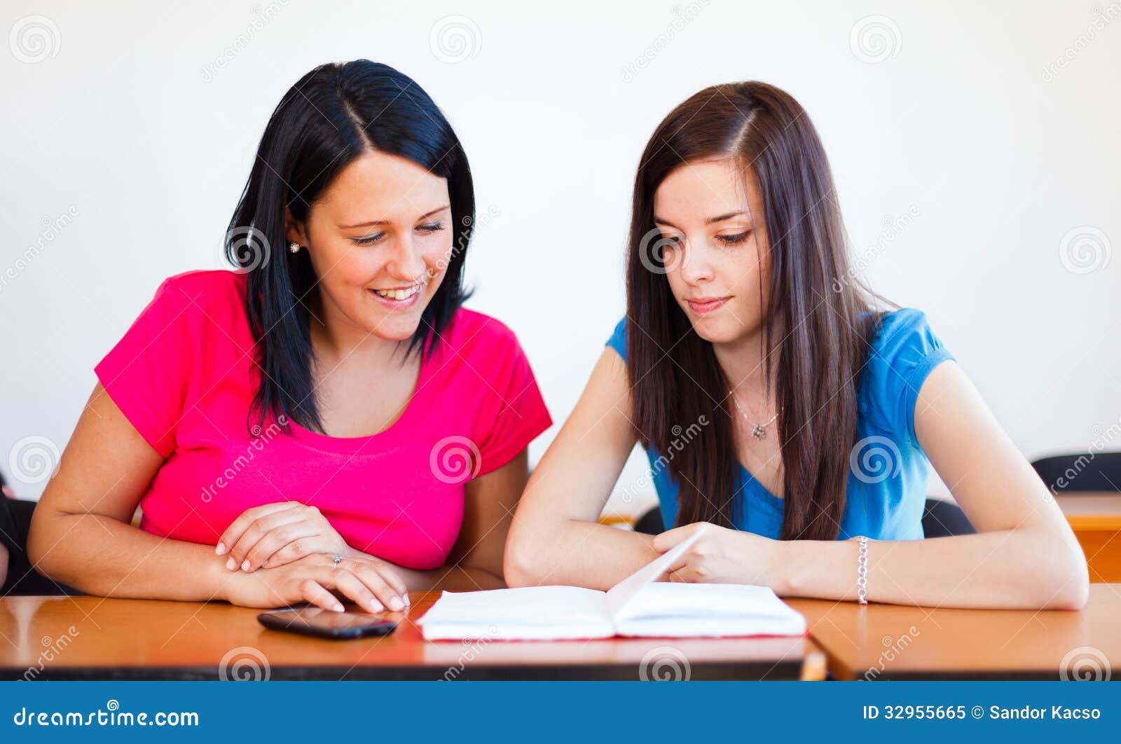 Girlfriends Studying Together Stock Image - Image of room, study: 32955665