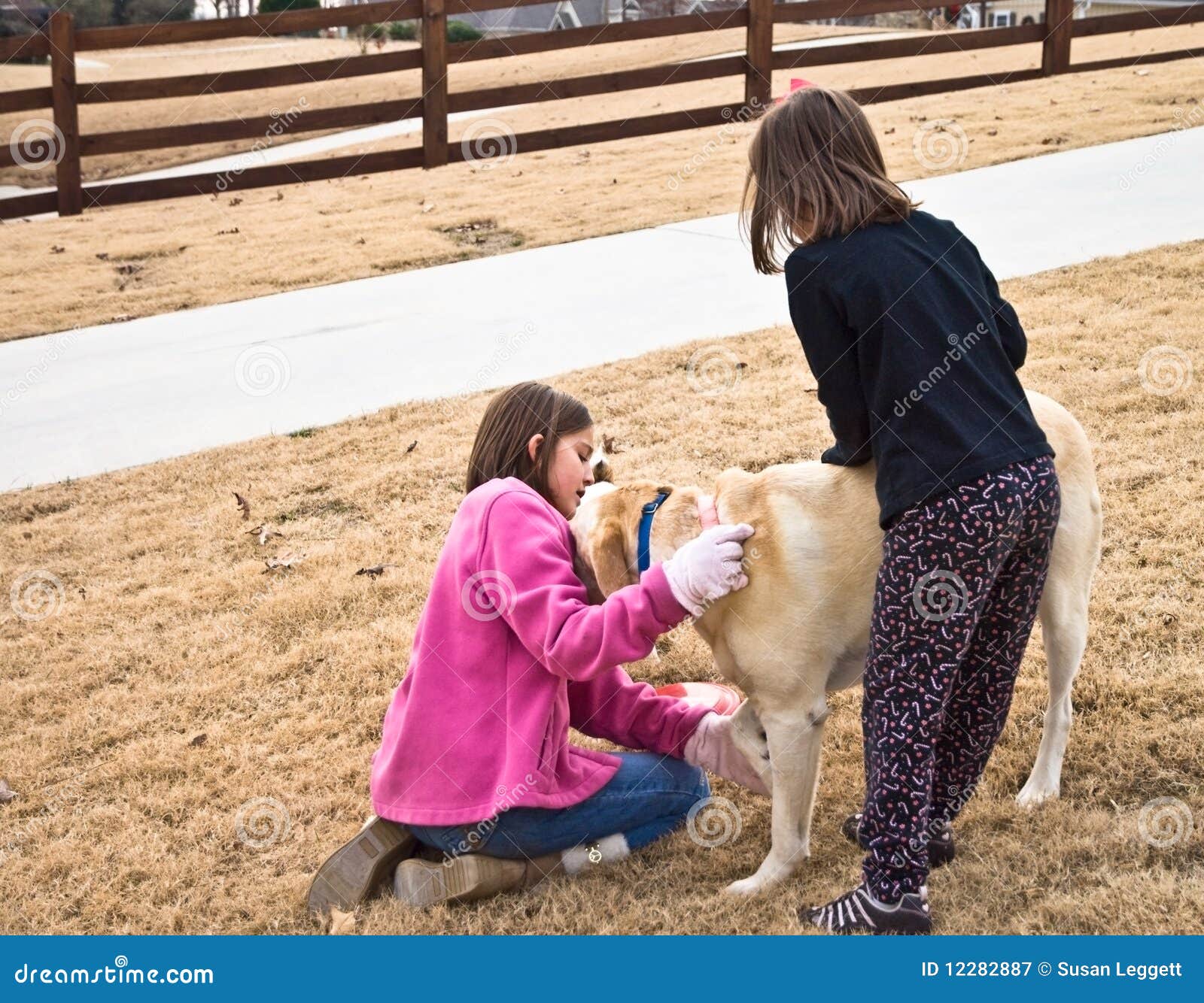 Girls Caring for Their Dog stock image. Image of injury - 12282887