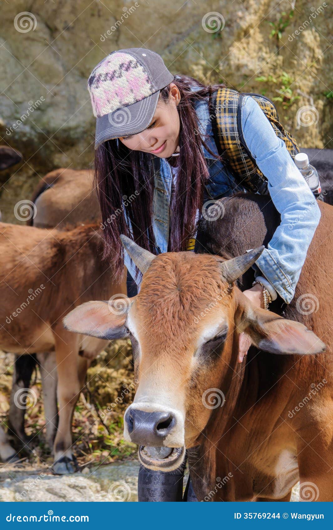 Girls and cattle stock photo. Image of rehabilitation - 35769244