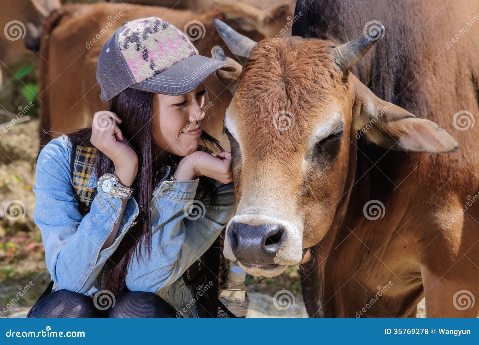 Girls and cattle stock photo. Image of friend, holidays - 35769278