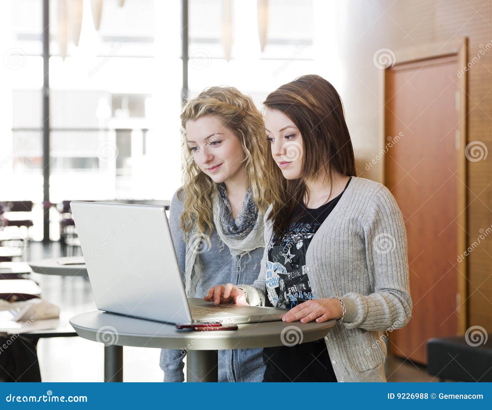 Girls with computer stock photo. Image of indoors, friendly - 9226988