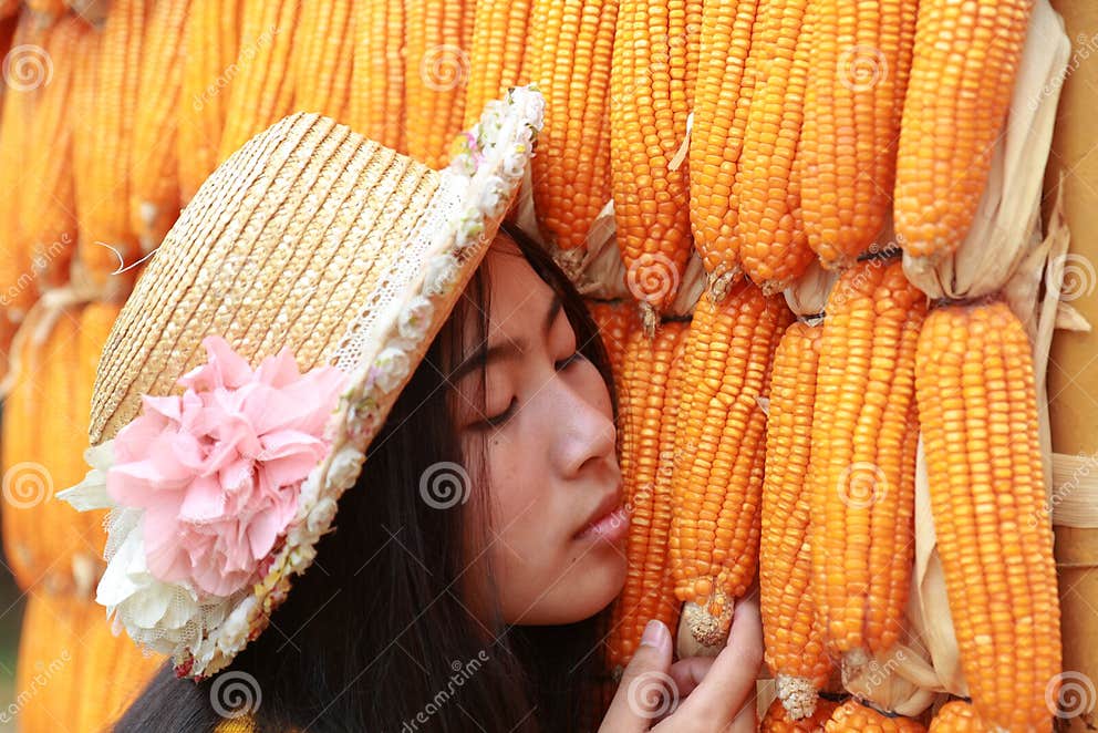 Girls and corn. stock image. Image of farmer, corn, field - 91640729