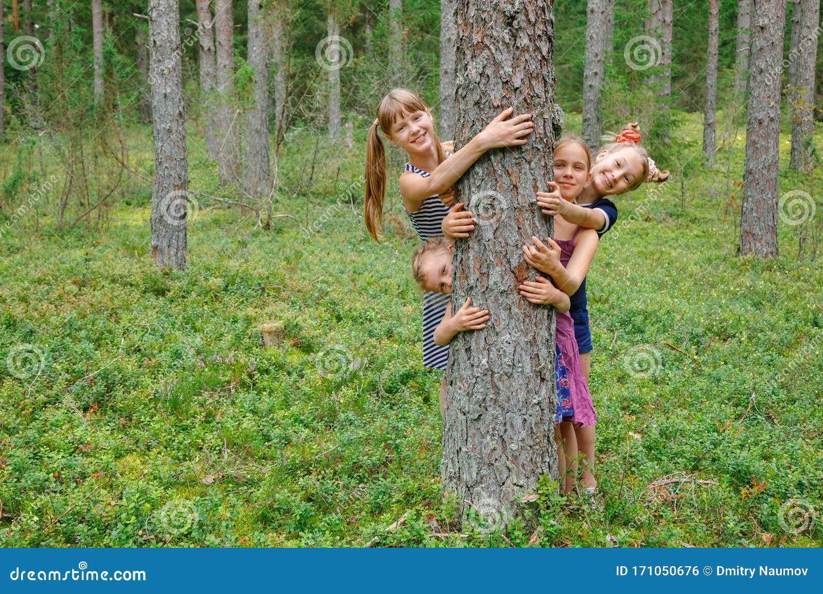 Children Hug Pine Tree in a Forest Stock Photo - Image of enjoy ...