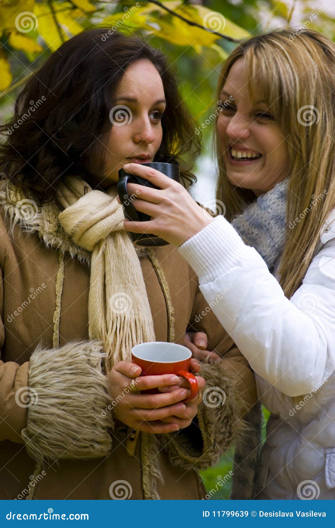 Girls drinking tea stock image. Image of brunette, holding - 11799639
