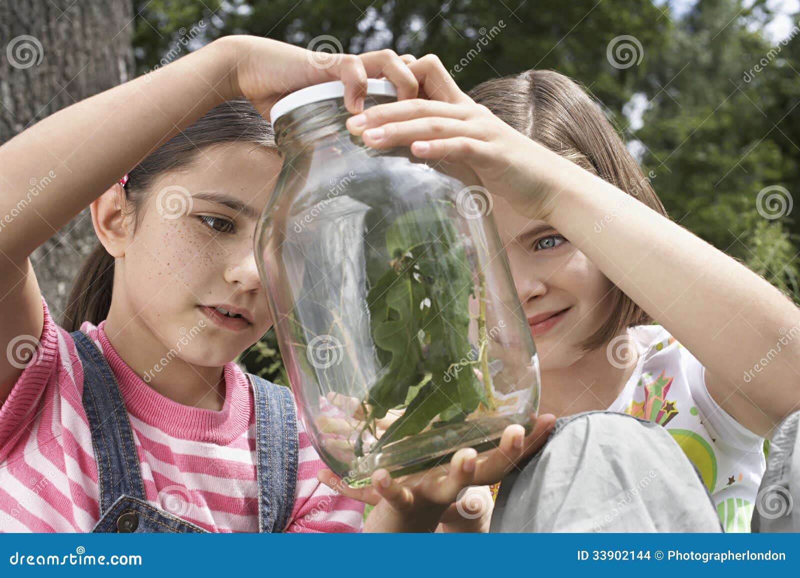 Girls Examining Stick Insects in Jar Stock Photo - Image of elementary ...