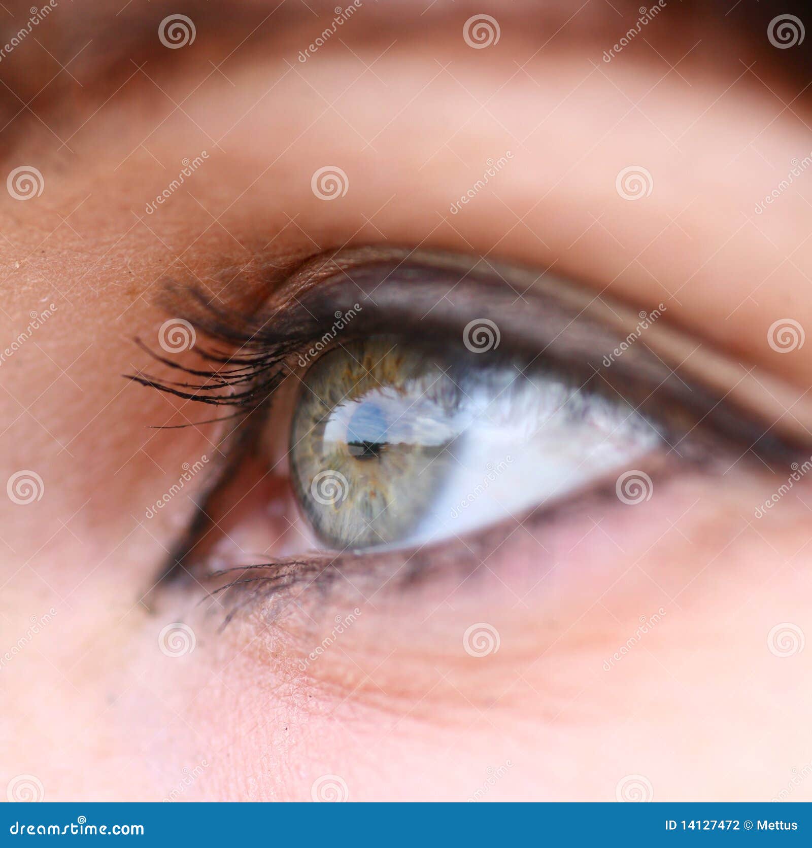 Girls eye stock photo. Image of eyes, women, beauty, people - 14127472