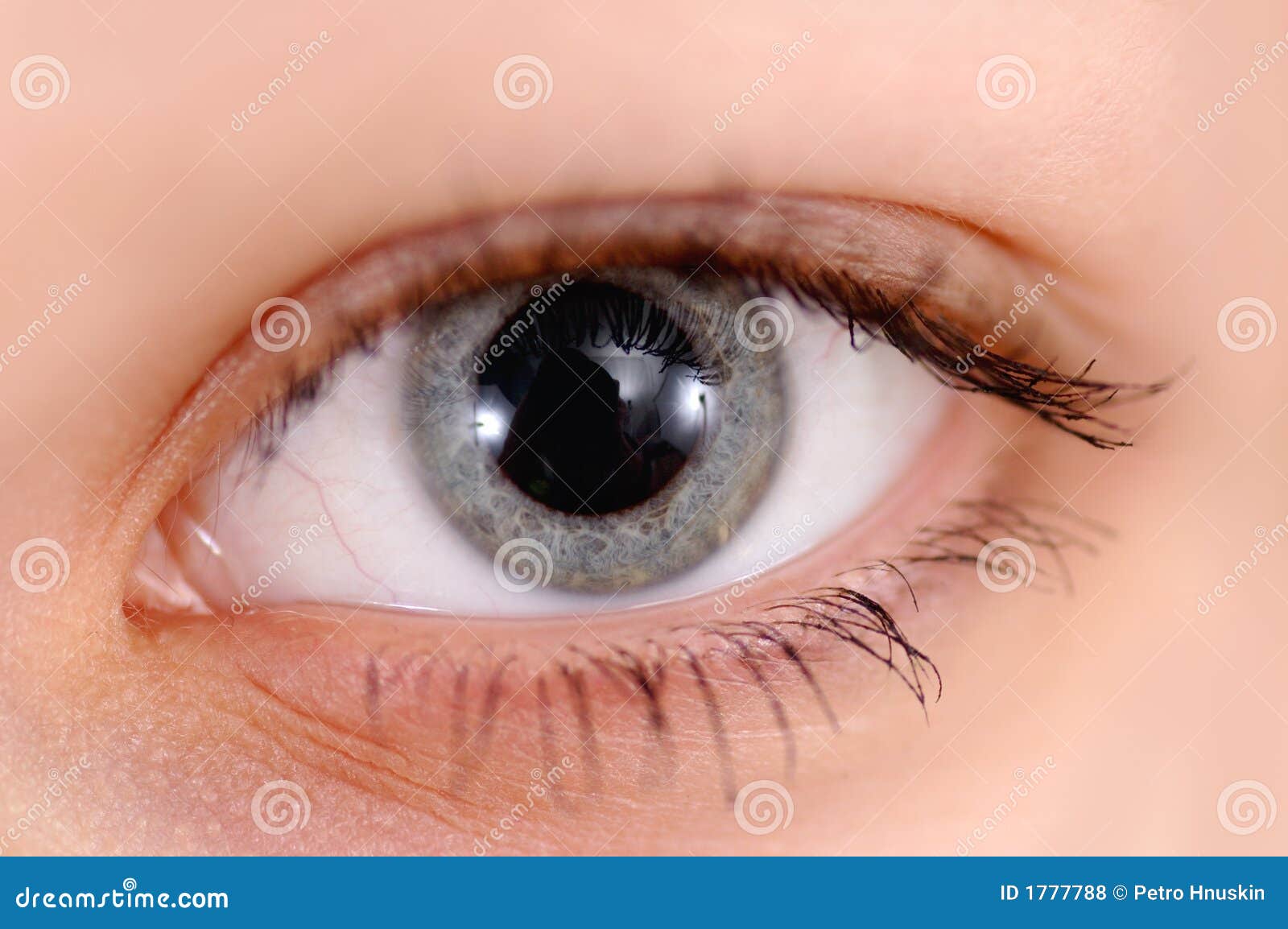 Girls Eye stock photo. Image of girls, blue, extreme, close - 1777788