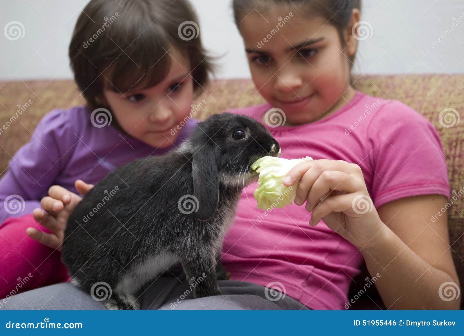 Girls Feeding Her Pet Rabbit Stock Photo - Image of brunette, friends ...