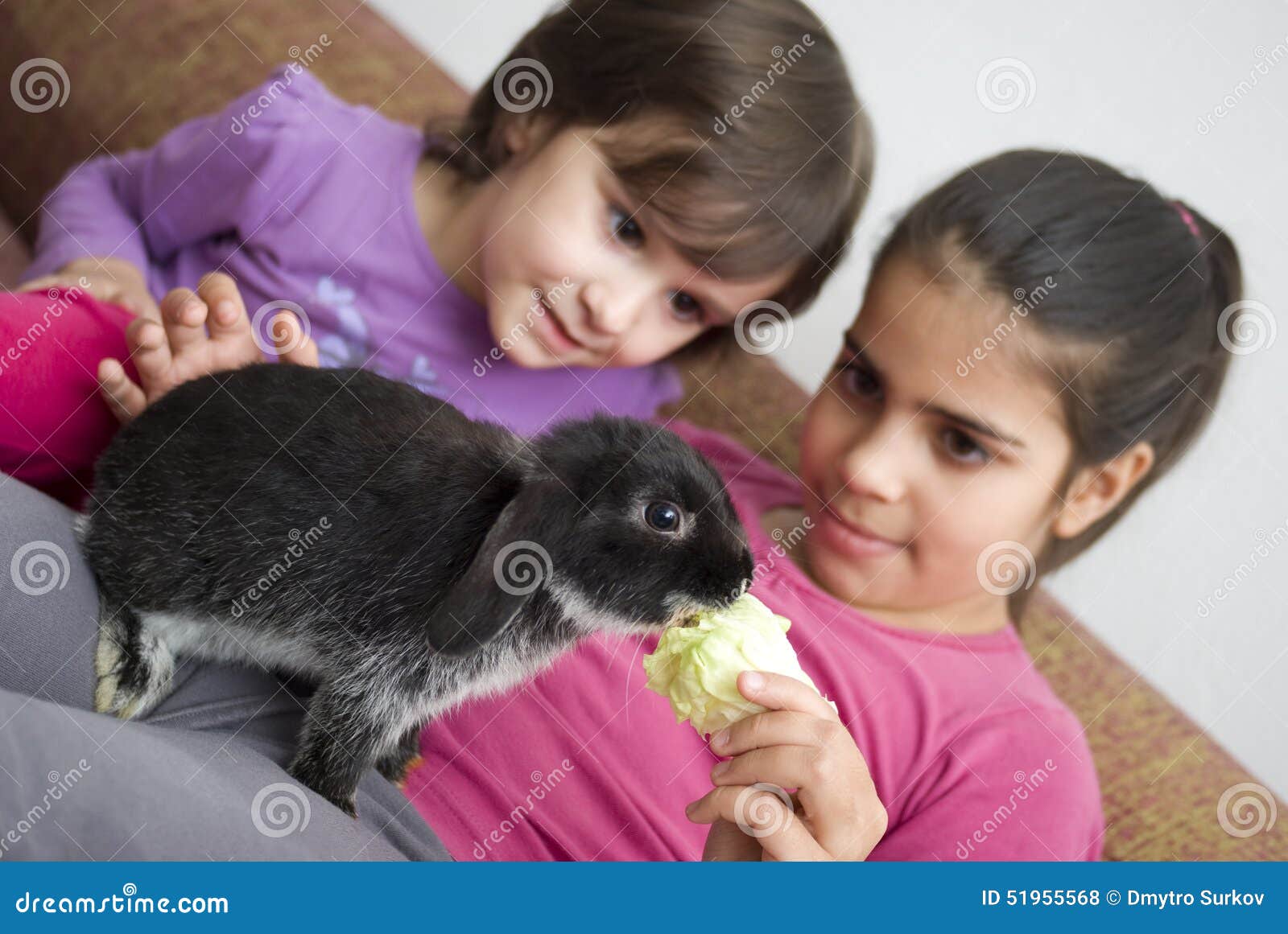 Girls Feeding Her Pet Rabbit Stock Photo - Image of company, holding ...