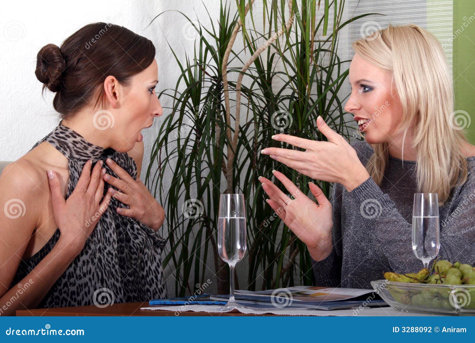 Girls Gossiping Picture. Image: 3288092