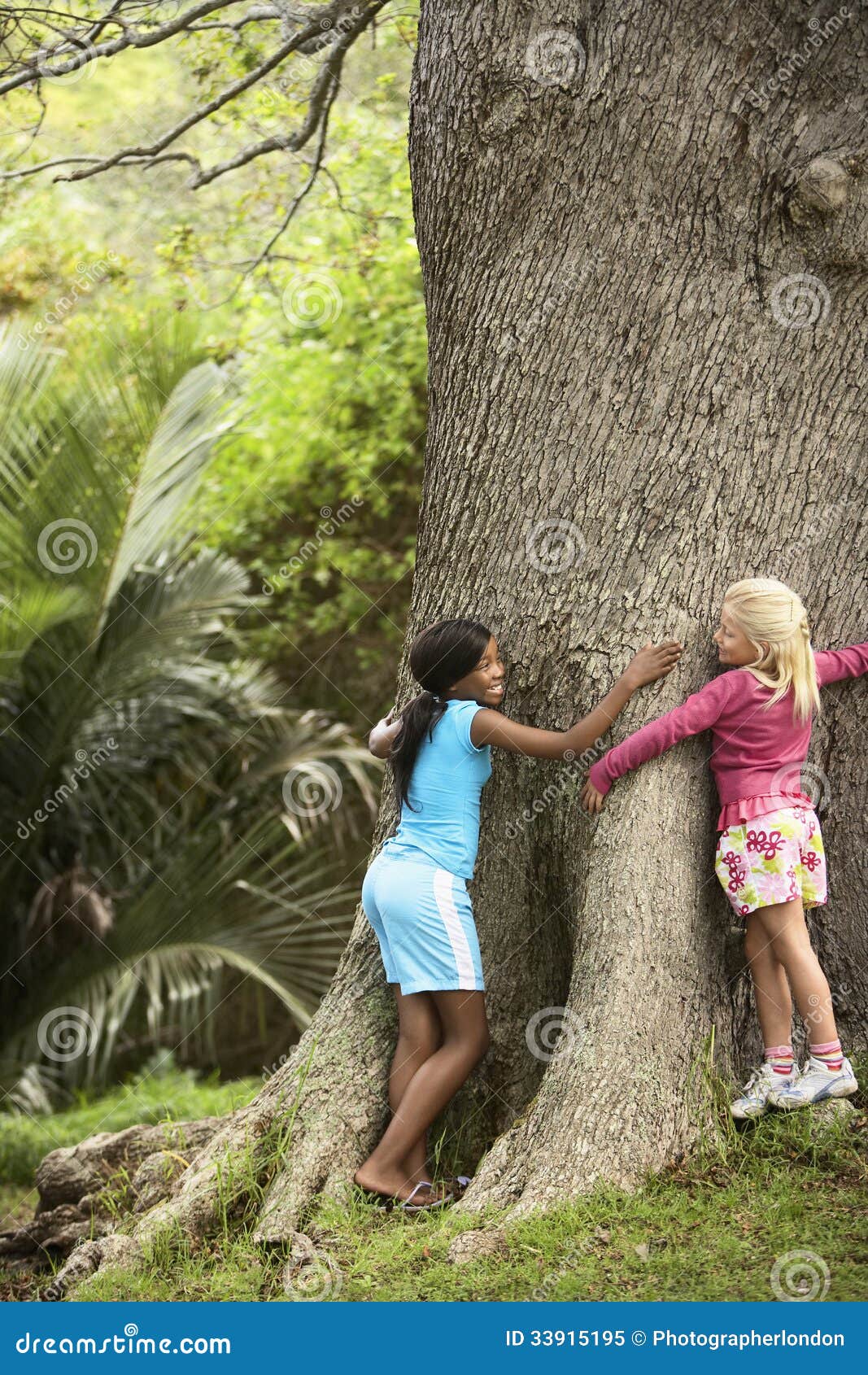 Girls Hugging Large Tree stock image. Image of length - 33915195