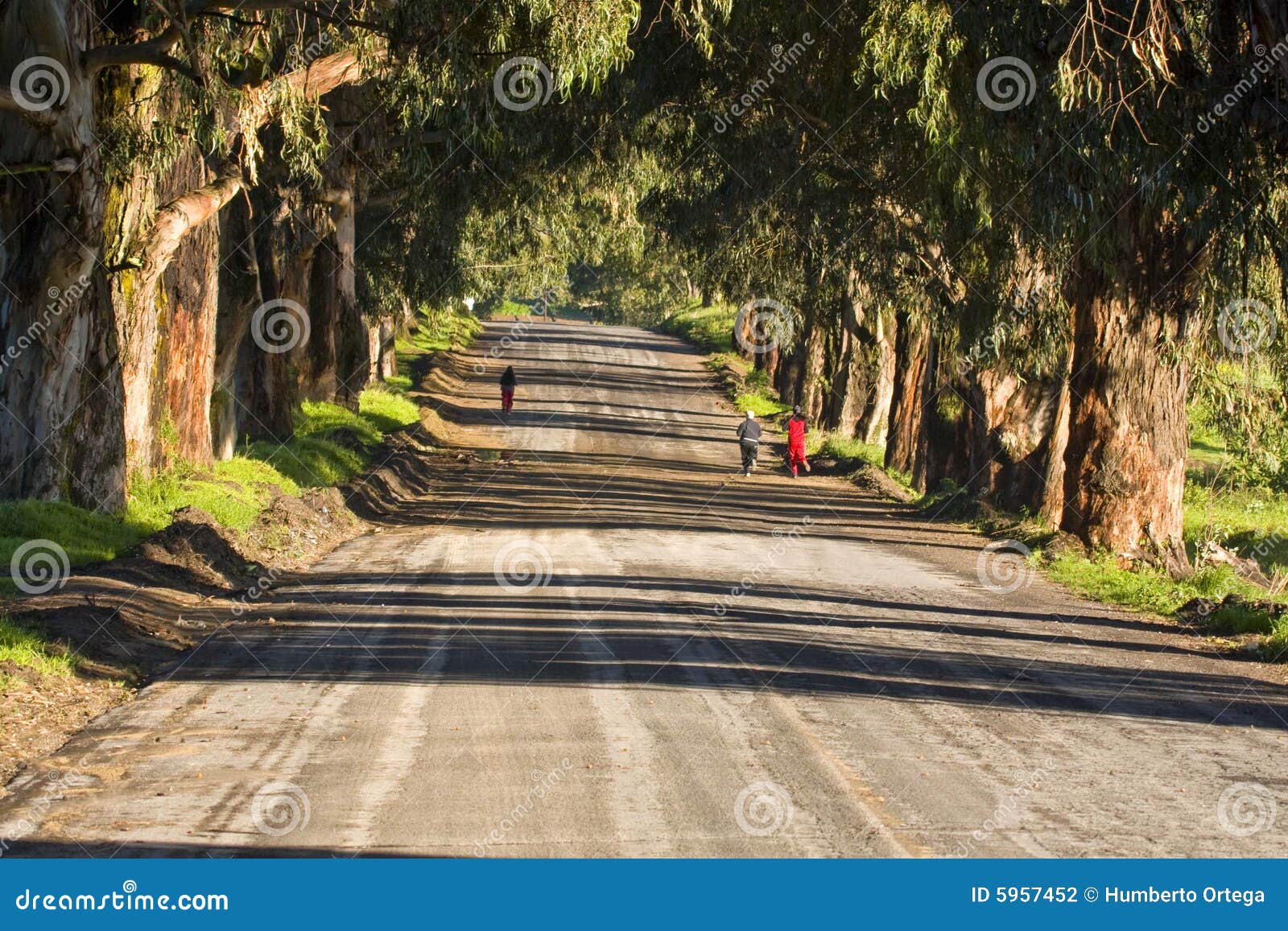 Girls Jogging at a Country Road Stock Photo - Image of women, running ...