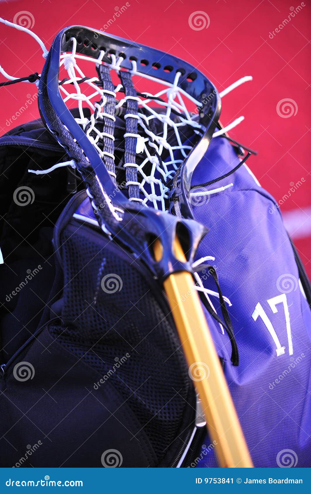 Girls lacrosse stick stock image. Image of girls, equipment - 9753841