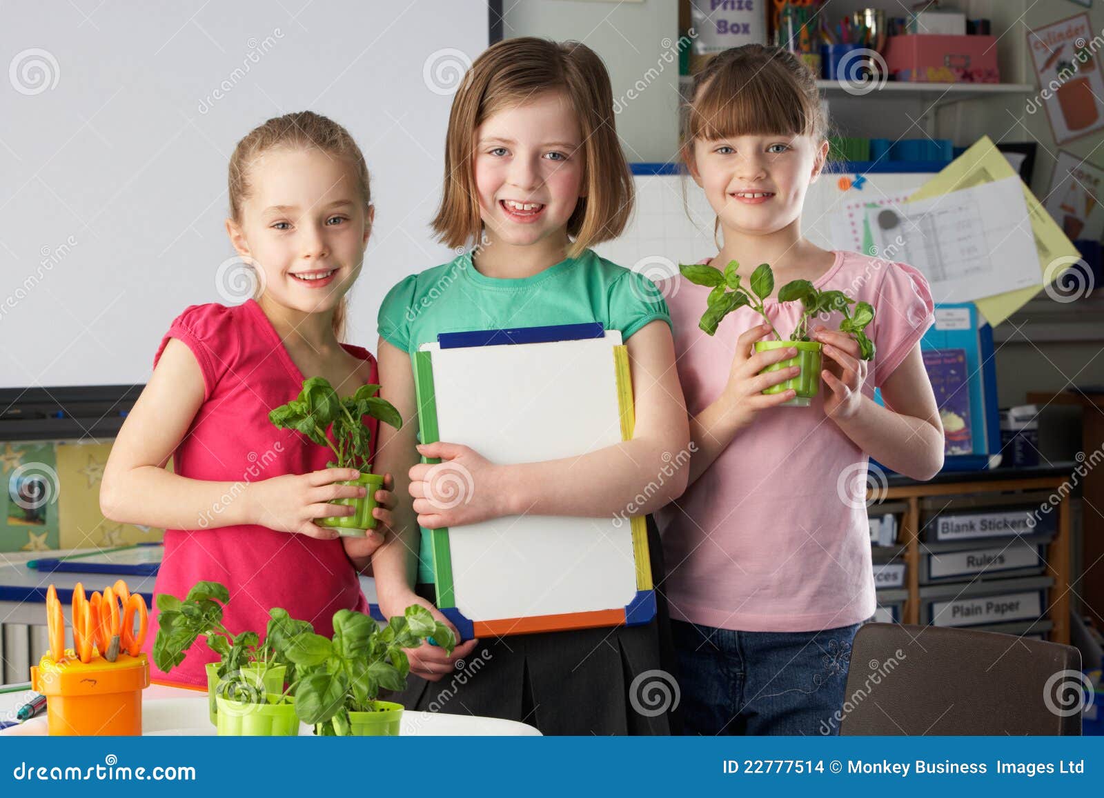 Girls Learning about Plants in School Class Stock Photo - Image of ...