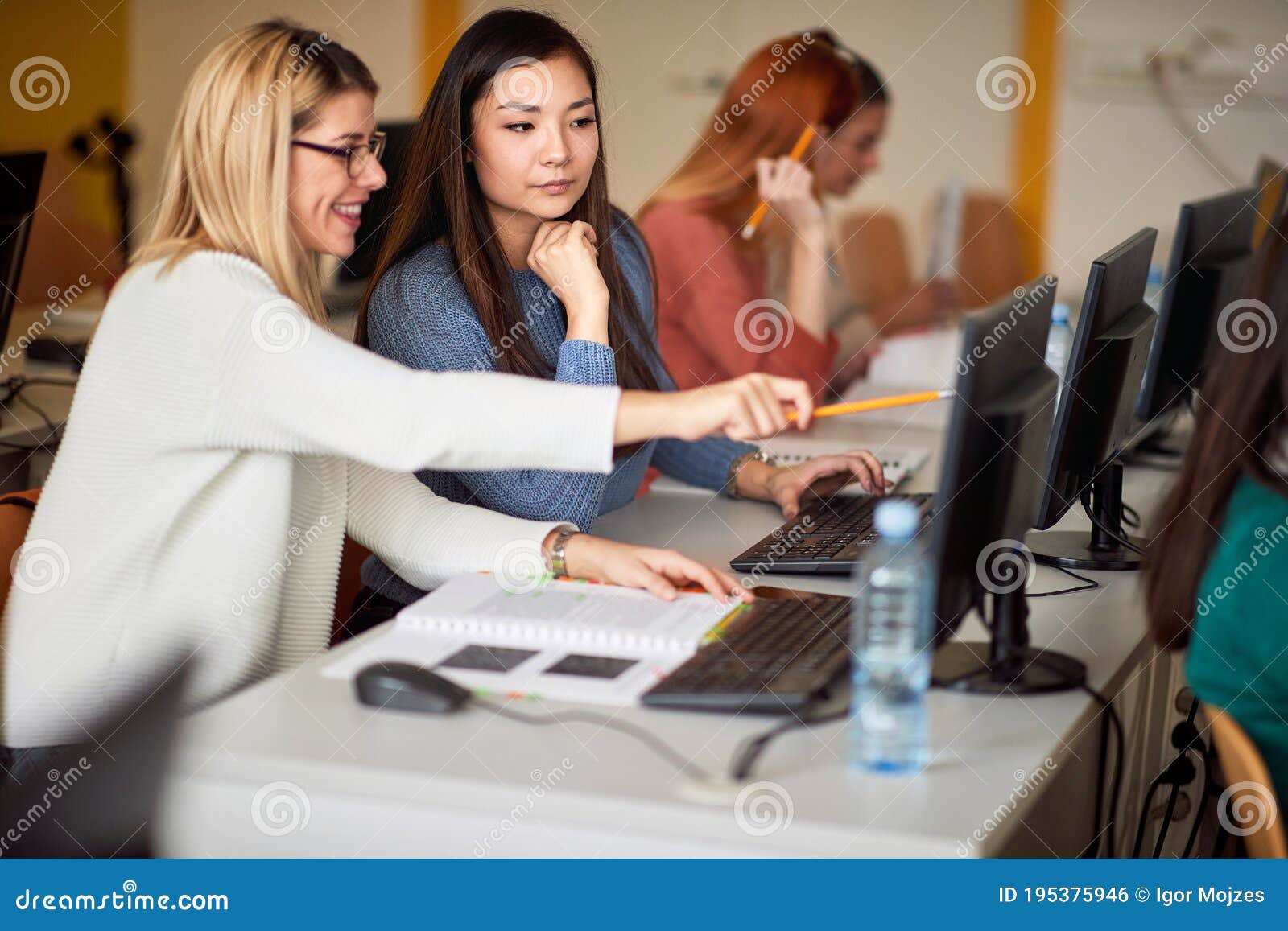 Girls learning together stock photo. Image of learn - 195375946