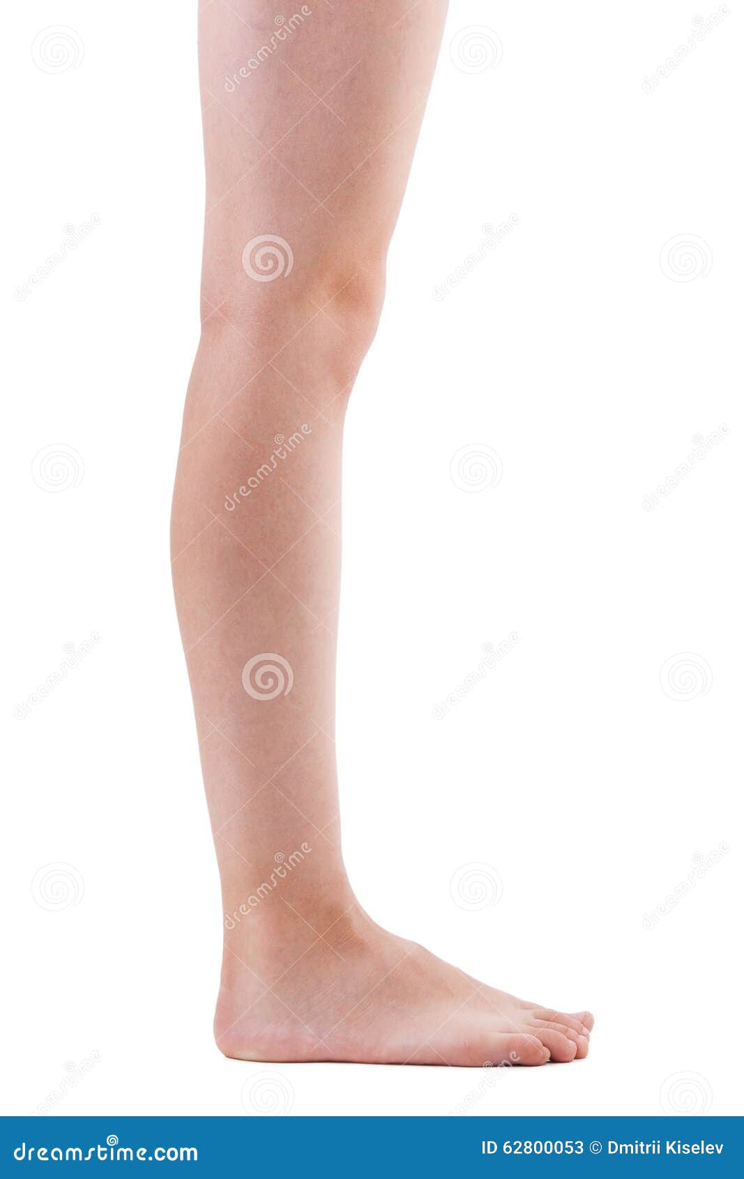 Girls Leg on a White Background Stock Image - Image of malleolus ...