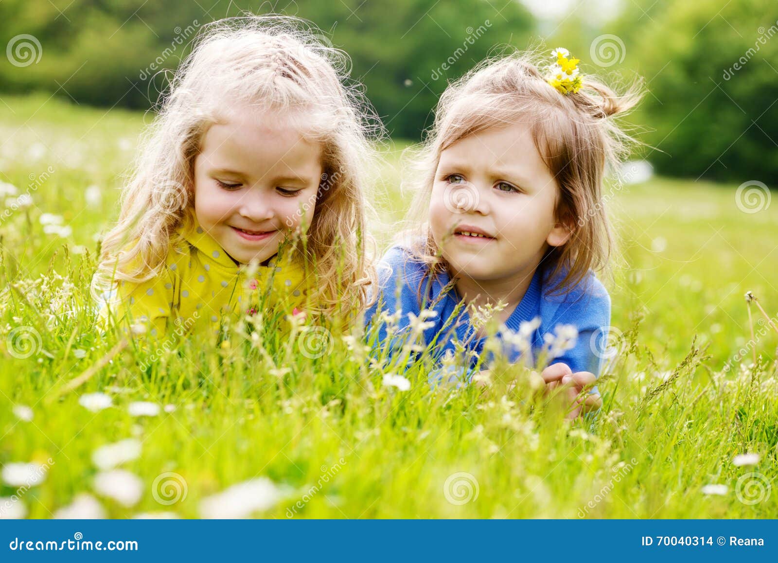 Girls on the meadow stock photo. Image of little, kids - 70040314