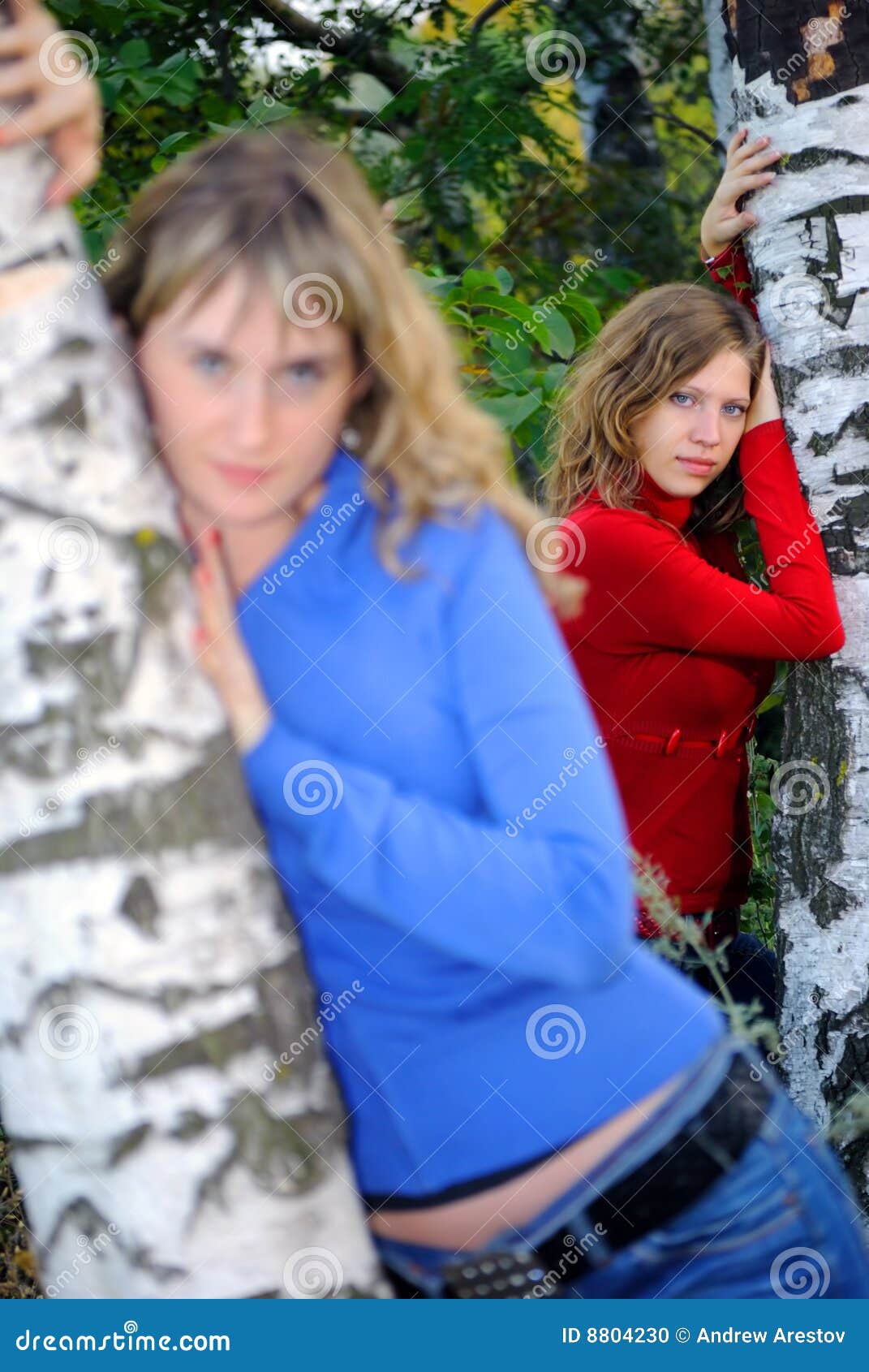 Girls near birches stock photo. Image of dream, green - 8804230