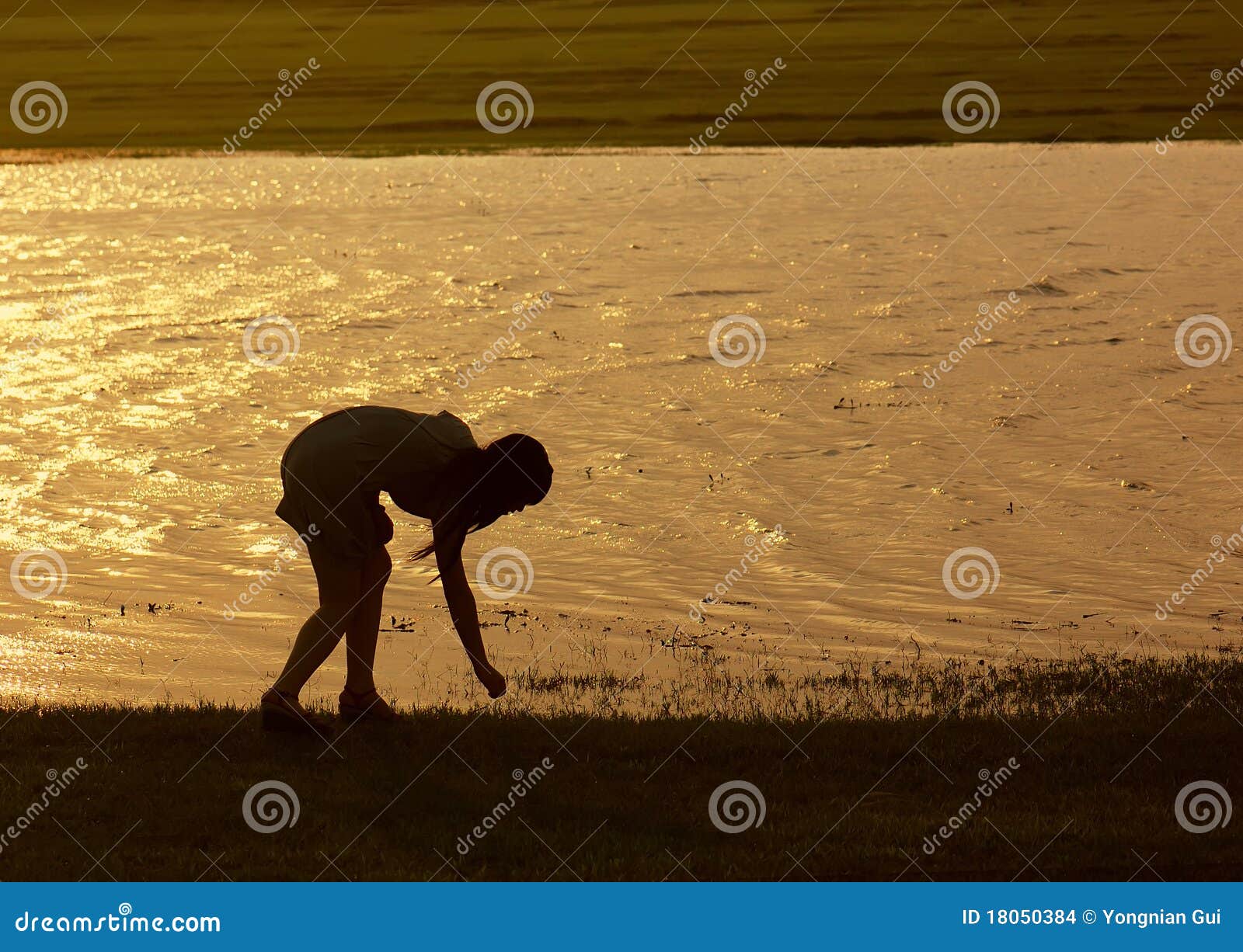 Girls pick up shells stock photo. Image of gold, women - 18050384