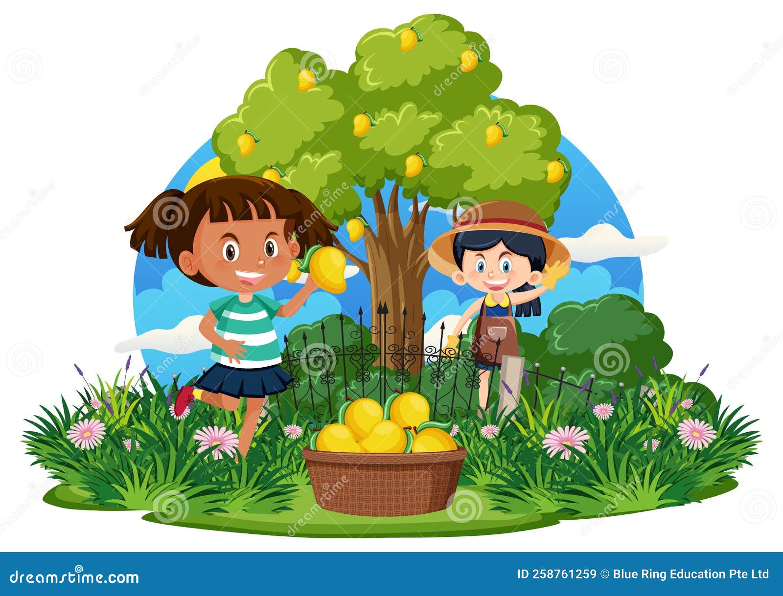 Girls Picking Mangoes from the Tree Stock Vector - Illustration of ...