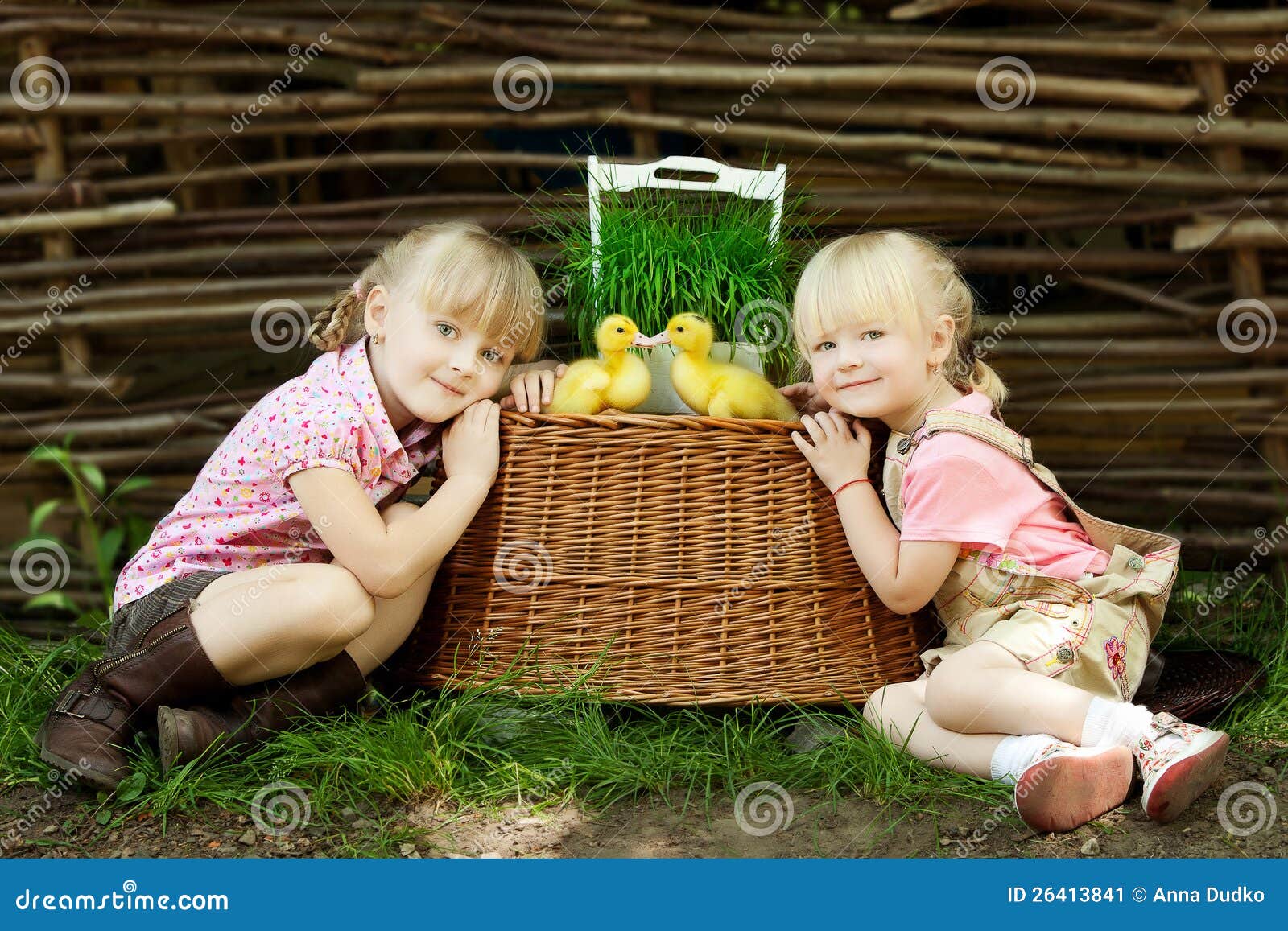 Girls play with duck stock image. Image of duck, live - 26413841