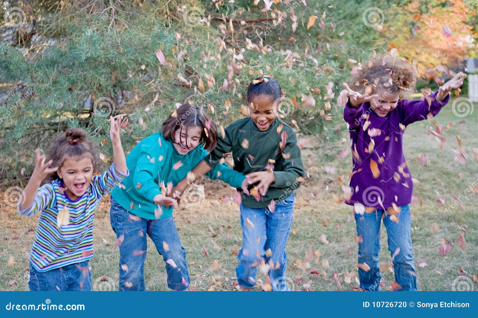 Girls Playing in Leaves stock photo. Image of cheerful - 10726720
