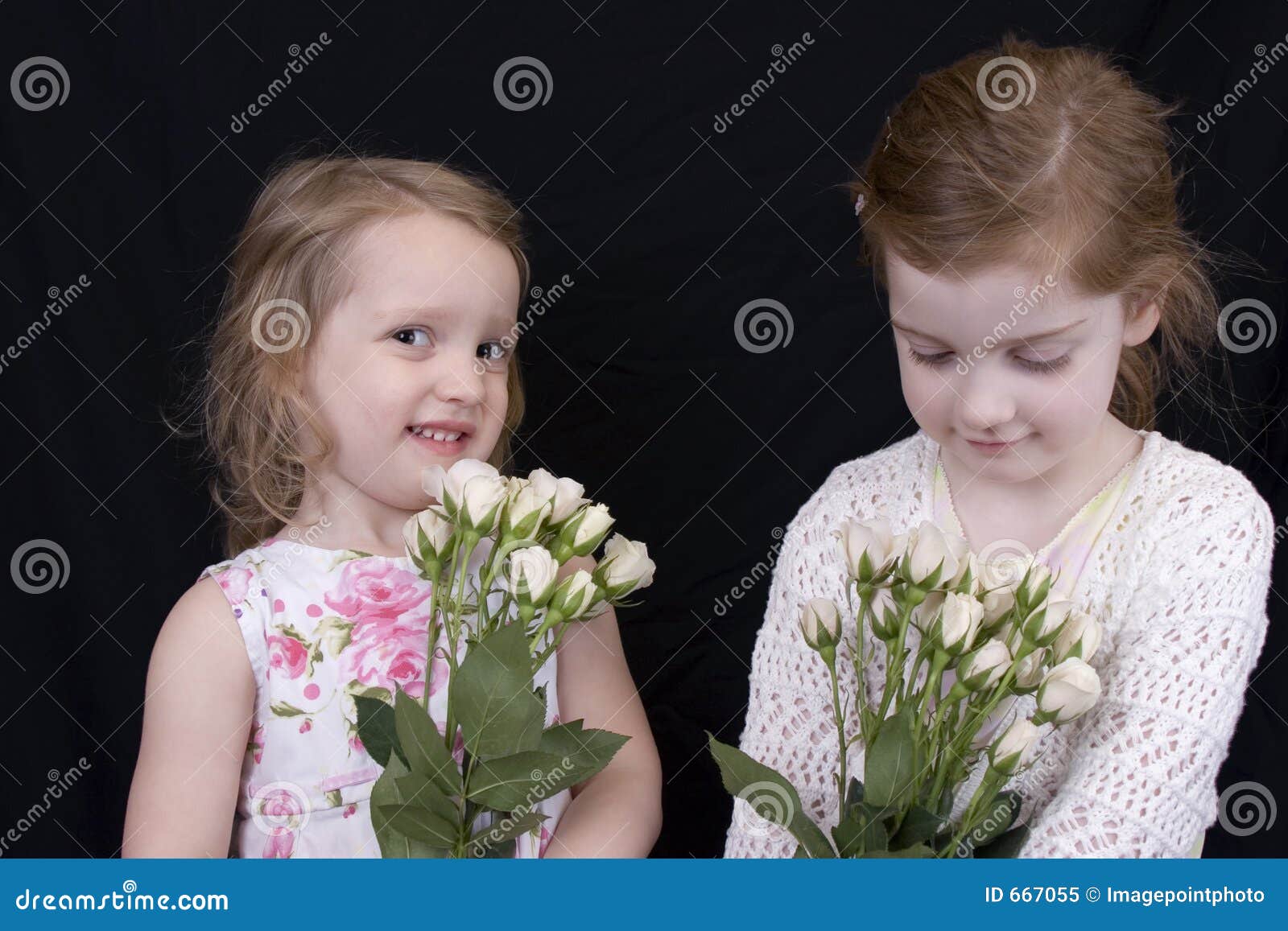 Girls and roses stock image. Image of formal, flowers, dress - 667055