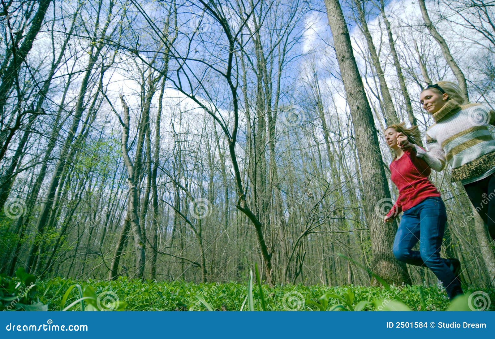 Girls Running through a Forest Stock Photo - Image of athletic, jogging ...