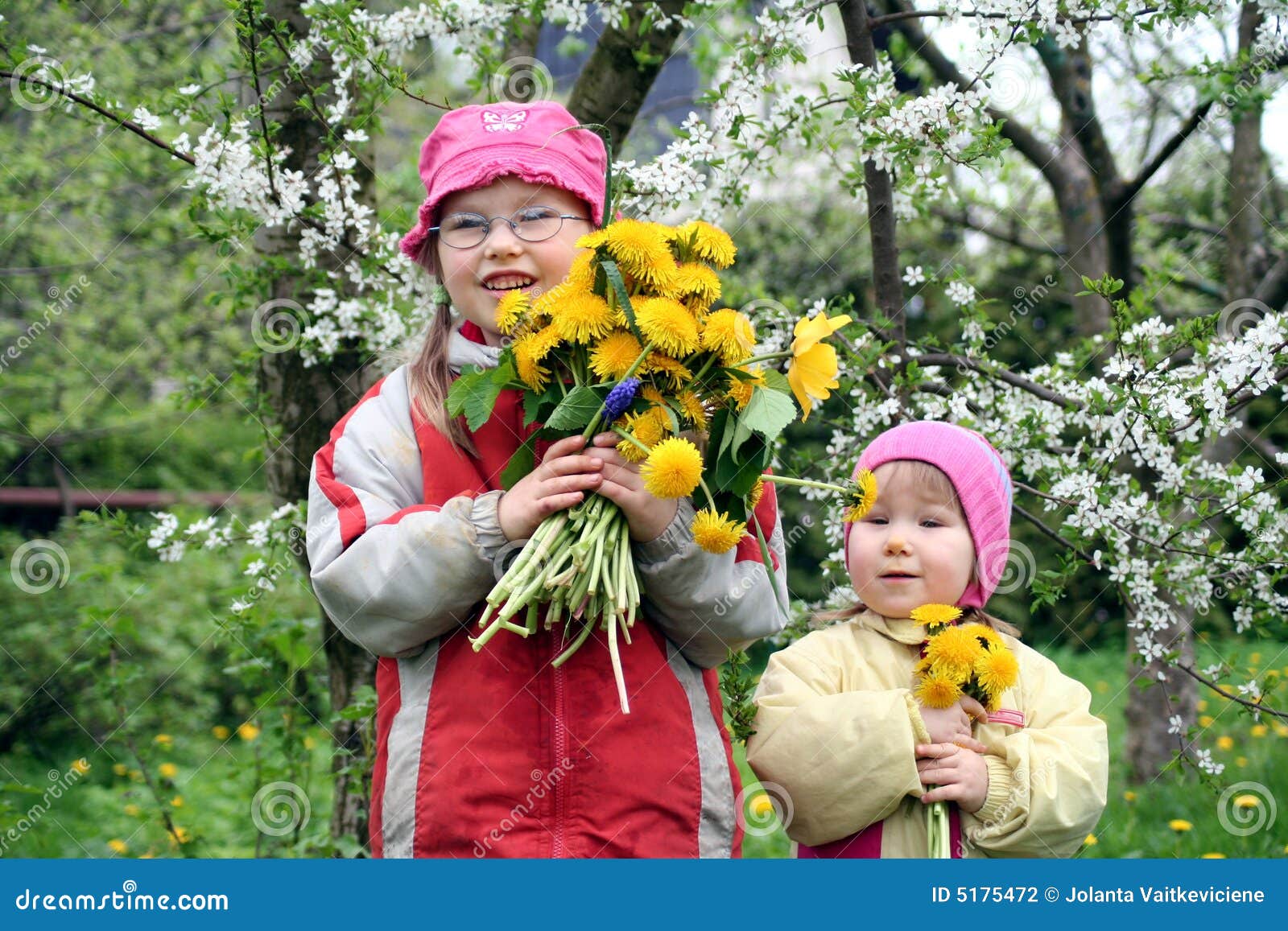 Girls with spring flowers stock photo. Image of outside - 5175472