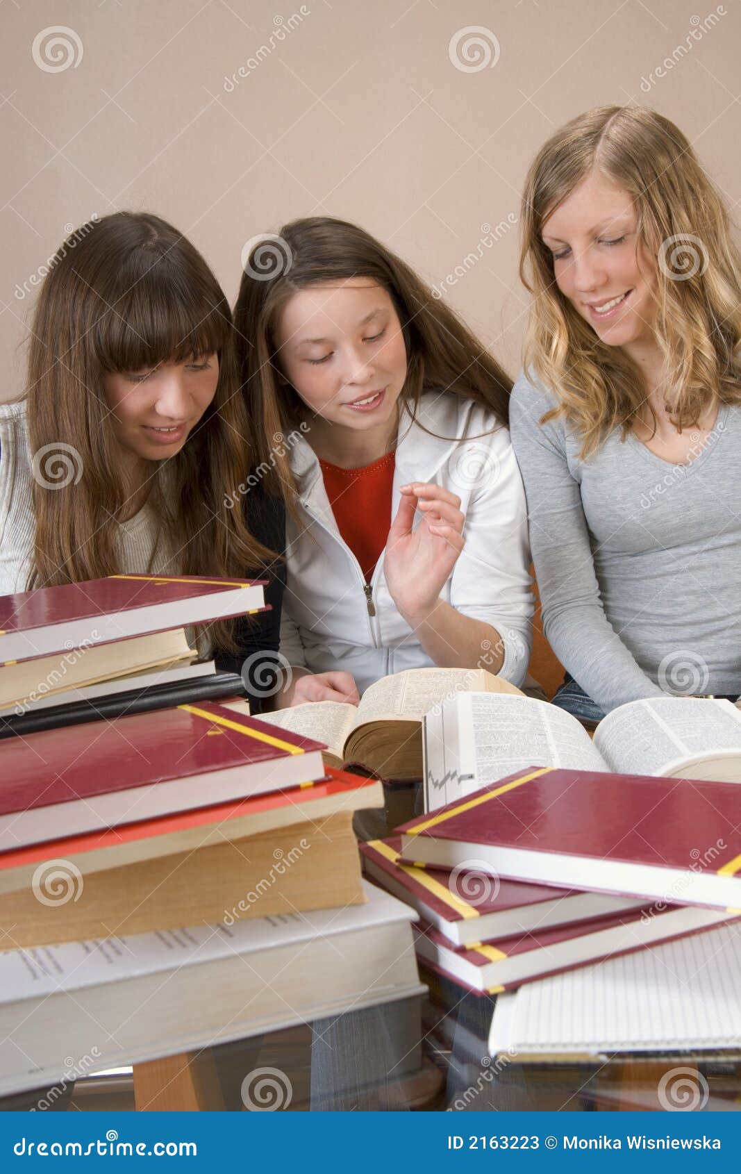 Girls Studying Together stock image. Image of bibliography - 2163223