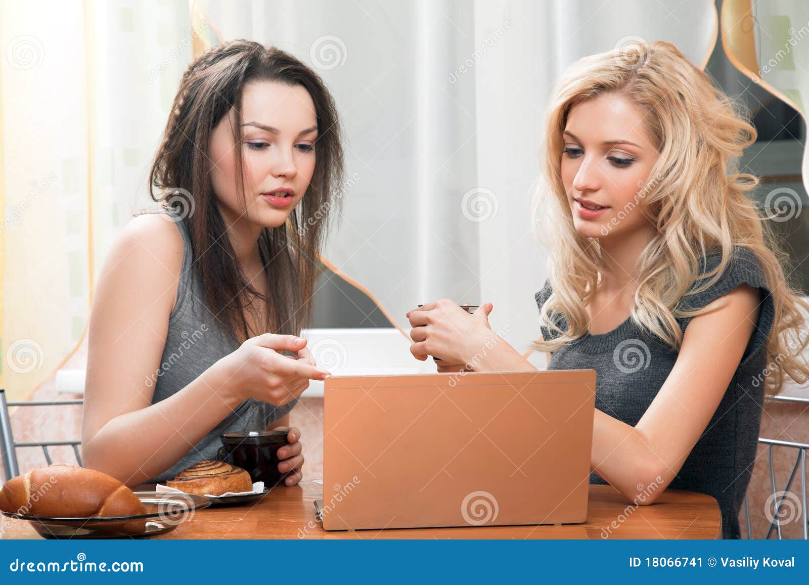 Girls at the table stock image. Image of notebook, businesswoman - 18066741