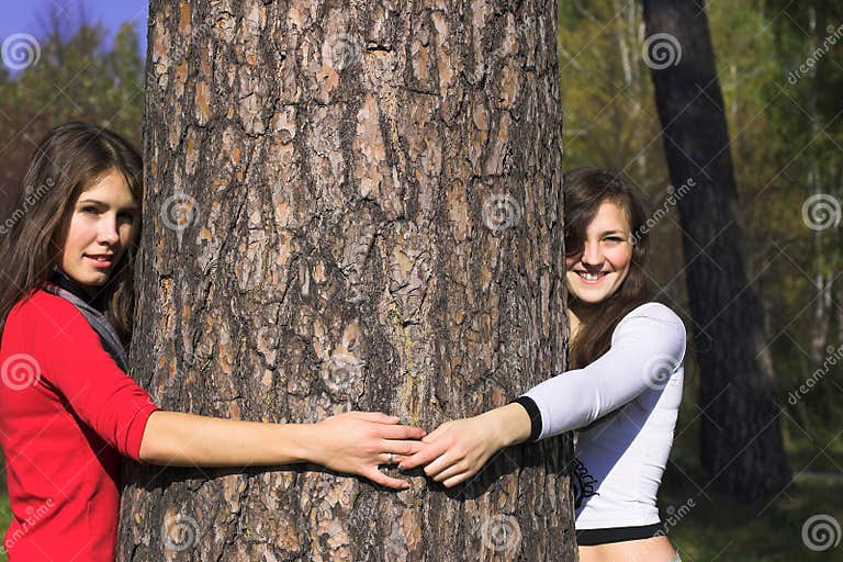 Girls and tree stock image. Image of people, forest, eyes - 1355105