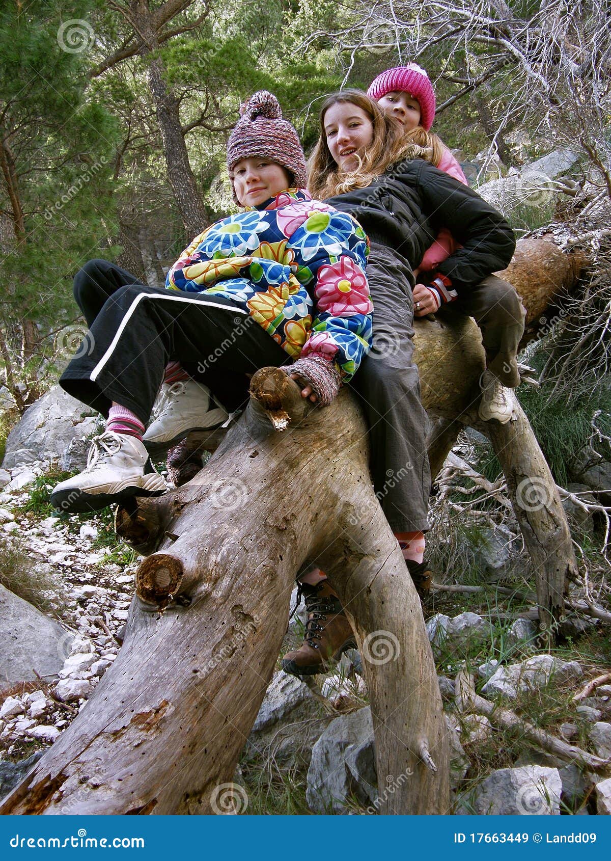 Girls on trees stock image. Image of children, climb - 17663449