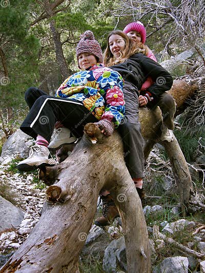 Girls on trees stock image. Image of children, climb - 17663449