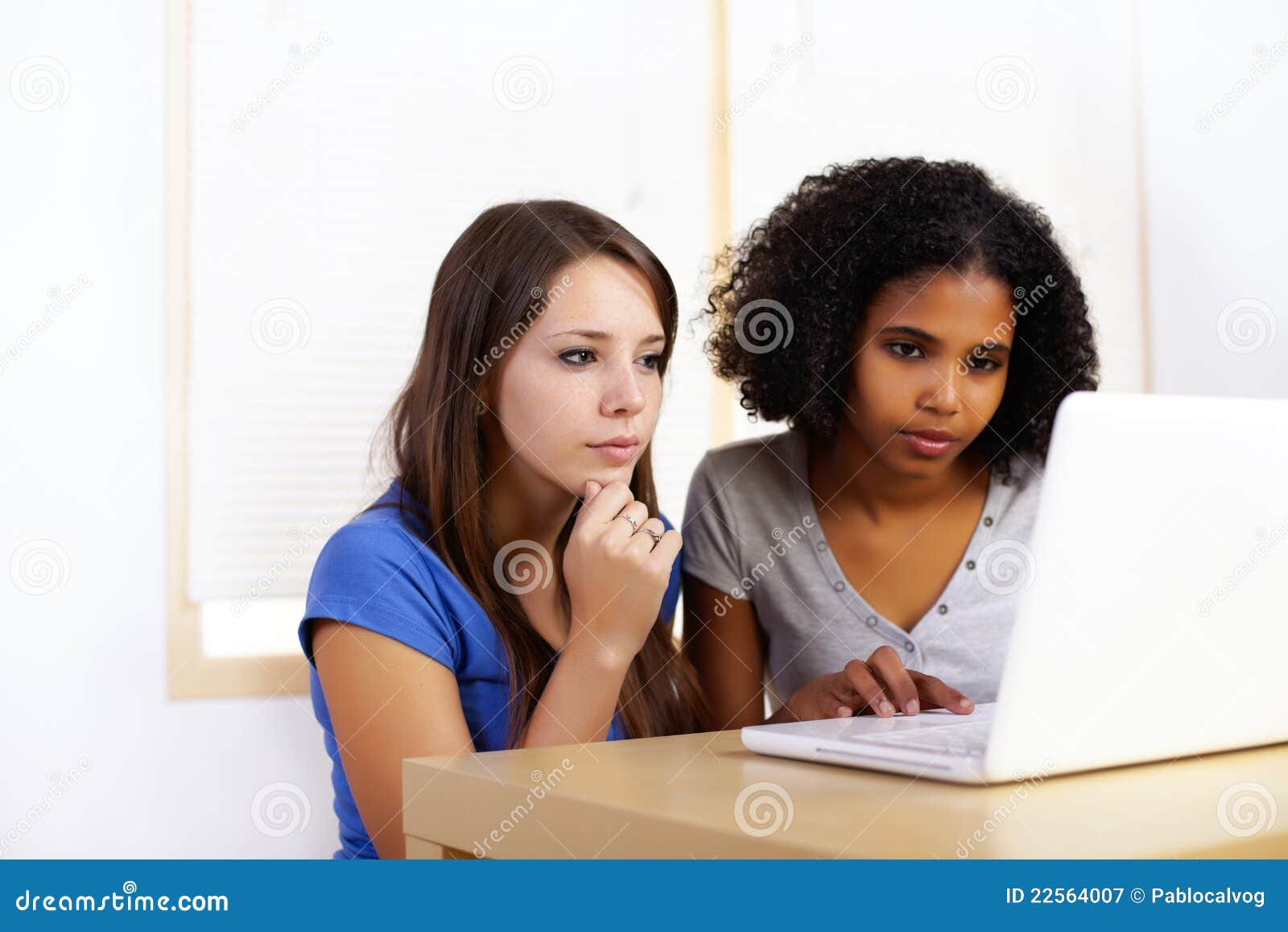 Girls using a laptop stock image. Image of lifestyle - 22564007