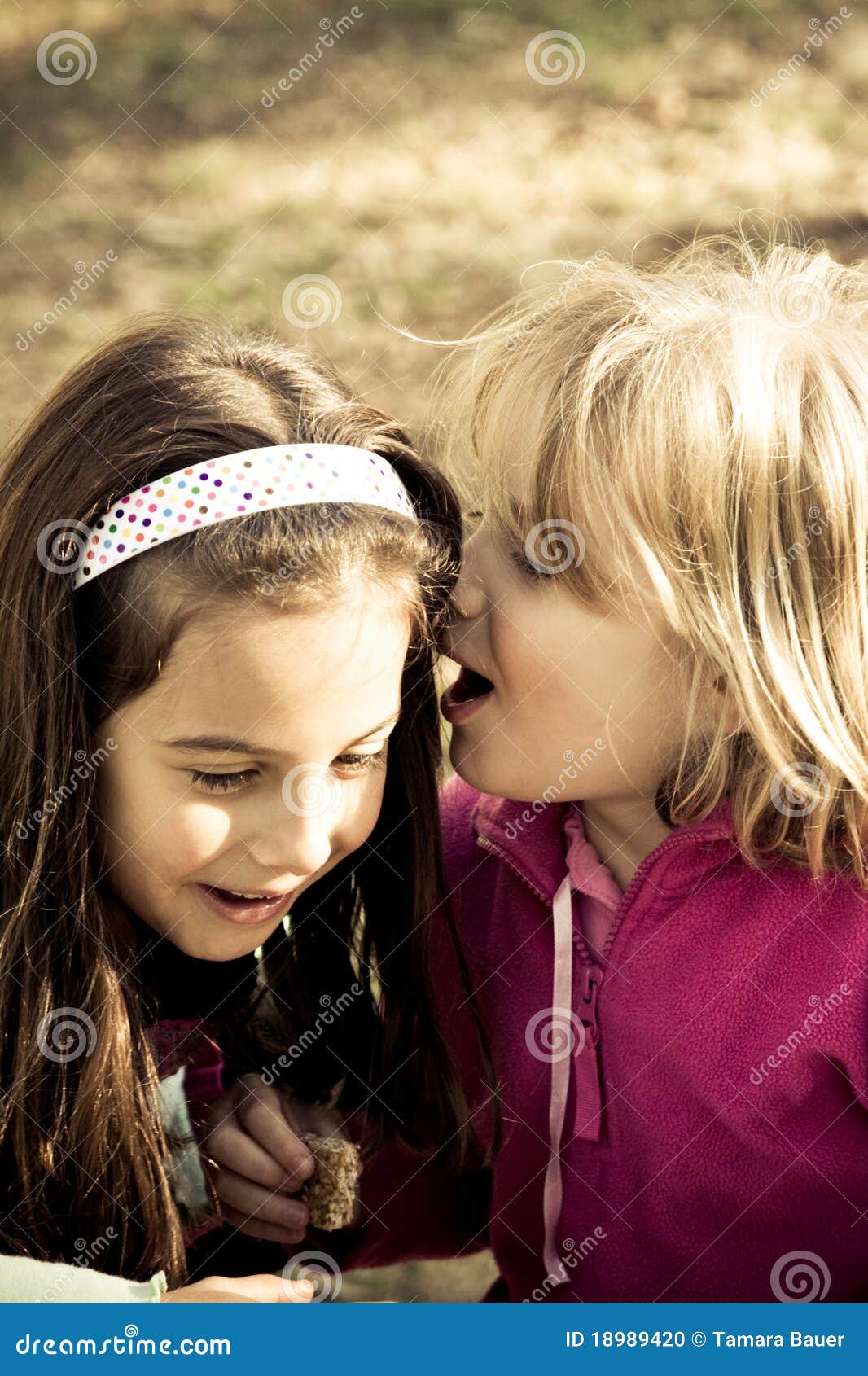 Girls whispering stock photo. Image of delight, beautiful - 18989420