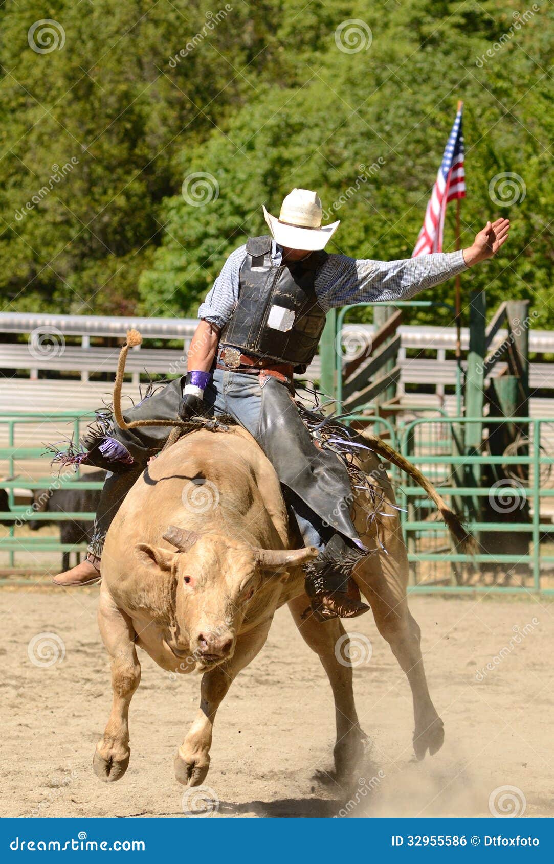 Giro del toro fotografia editoriale. Immagine di ovest - 32955586