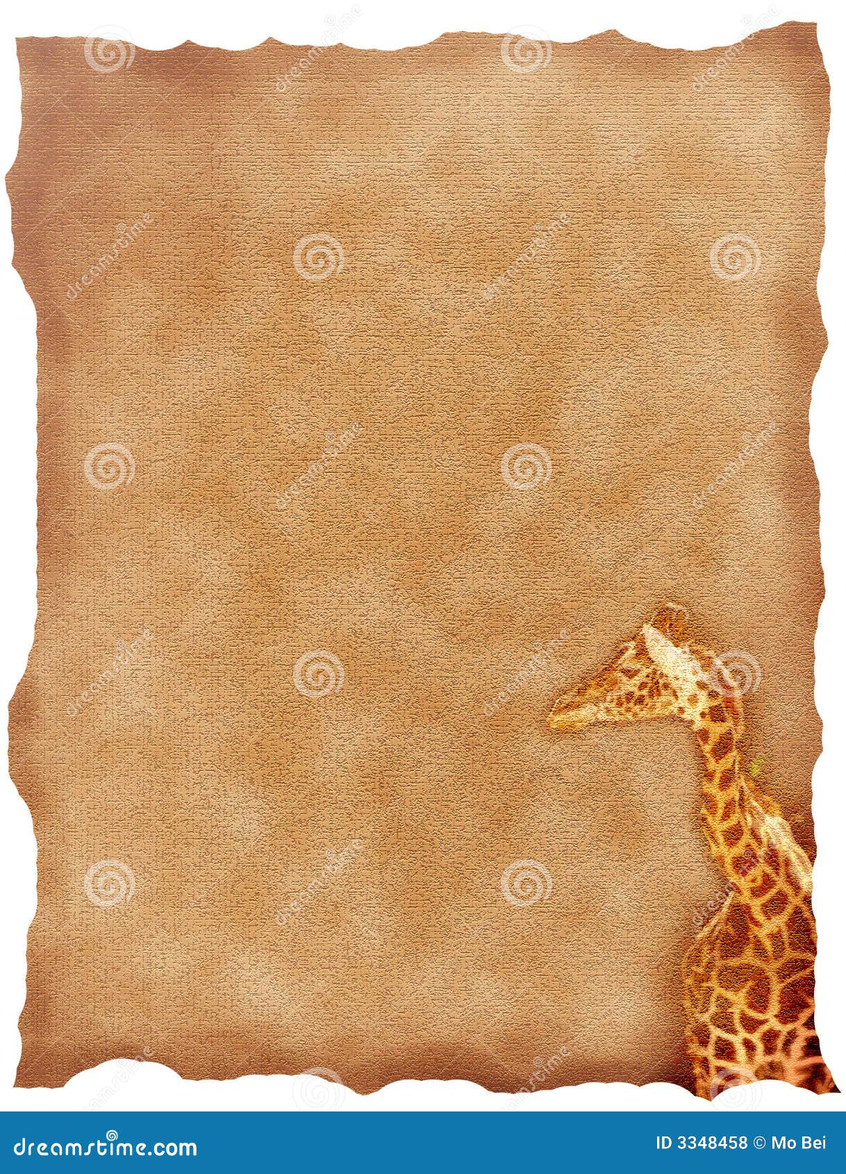 Colorful Girrafe Outline With Spots, Realistic Silhouette Vector ...