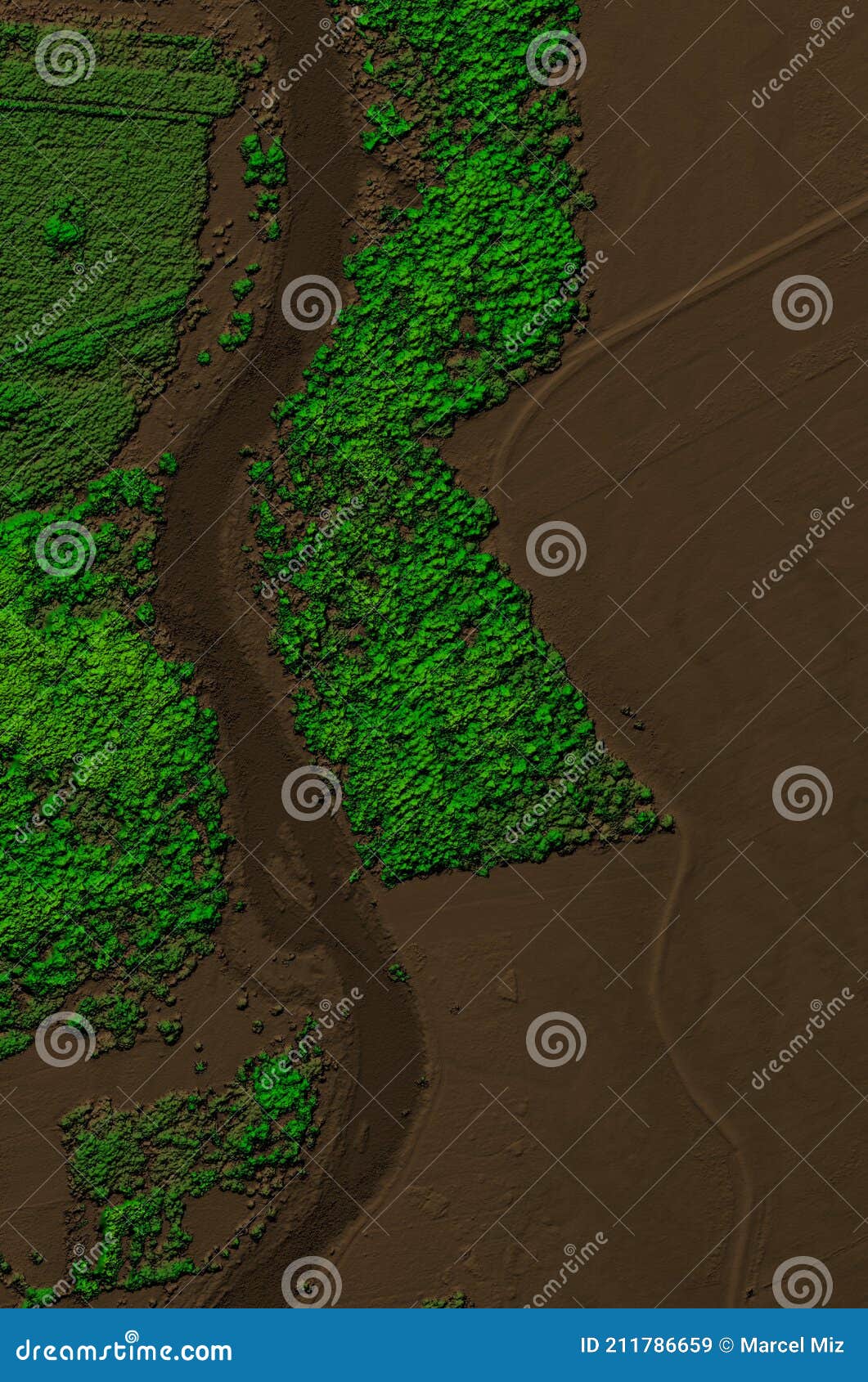 Elevation Scan of a Forest Area with a Meandering River Stock ...