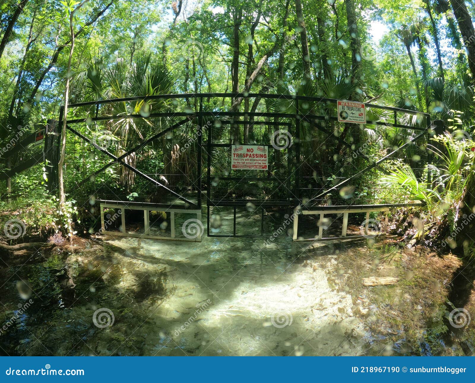 Underwater Gate Stock Photography | CartoonDealer.com #99616490