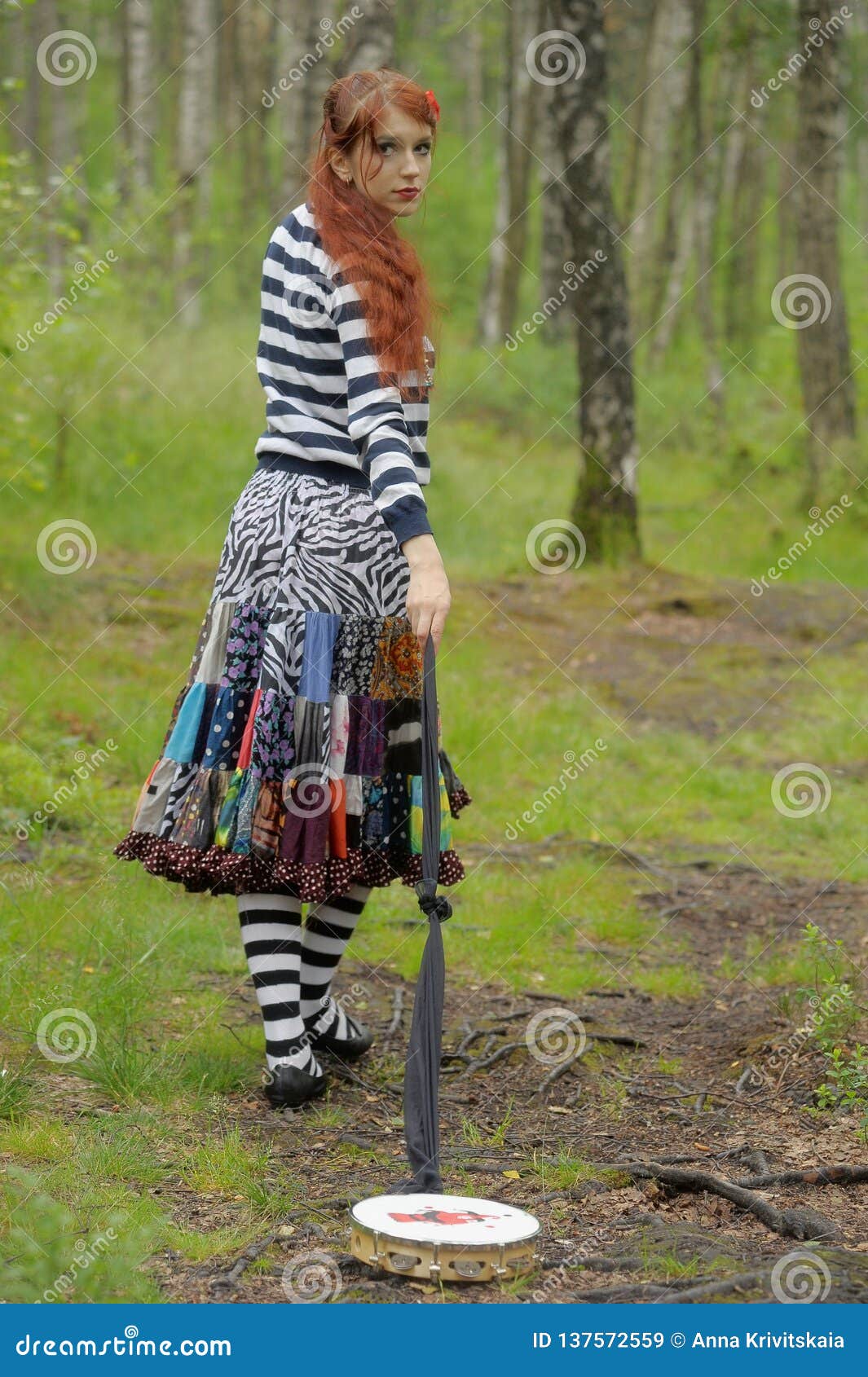 Gitan Avec Un Tambour De Basque Dans La Forêt Image stock - Image of ...