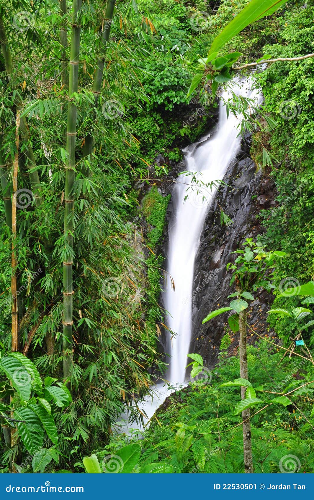 Gitgit Wasserfall in Bali stockbild. Bild von nave, indonesien - 22530501