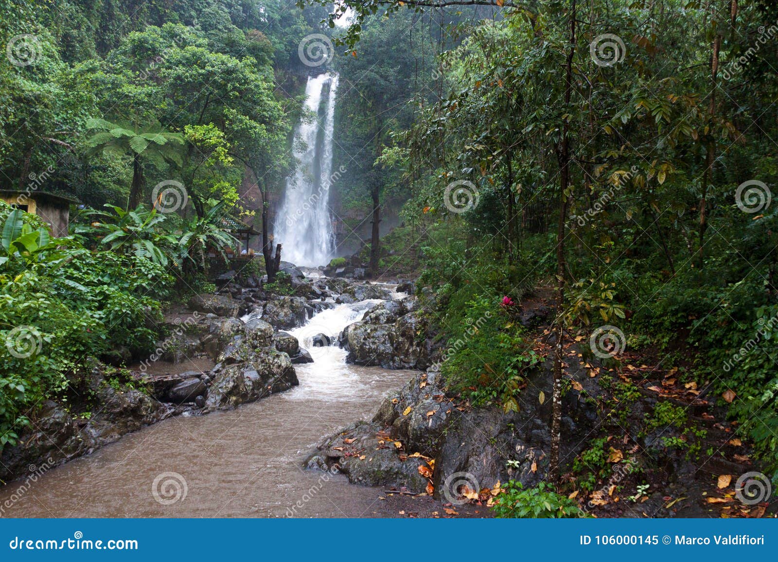 Gitgit Waterfall stock image. Image of rock, flow, quiet - 106000145