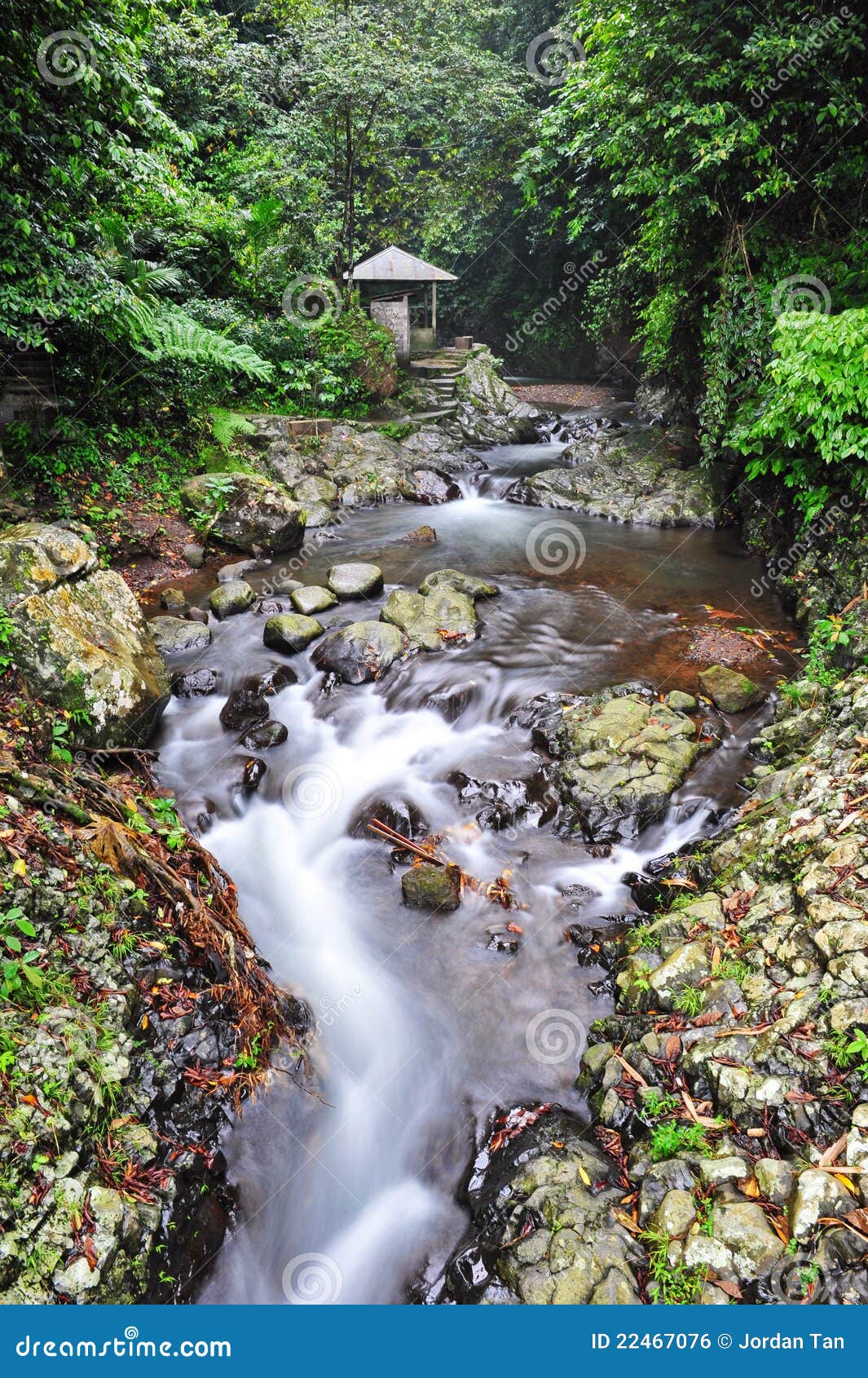Gitgit waterfall in Bali stock photo. Image of river - 22467076