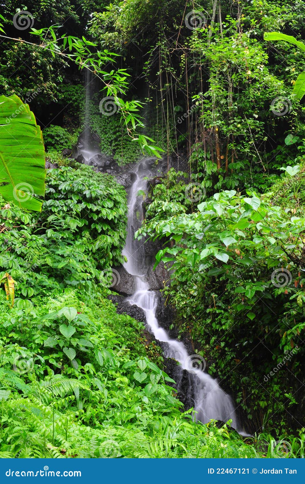 Gitgit waterfall in Bali stock image. Image of rapid - 22467121