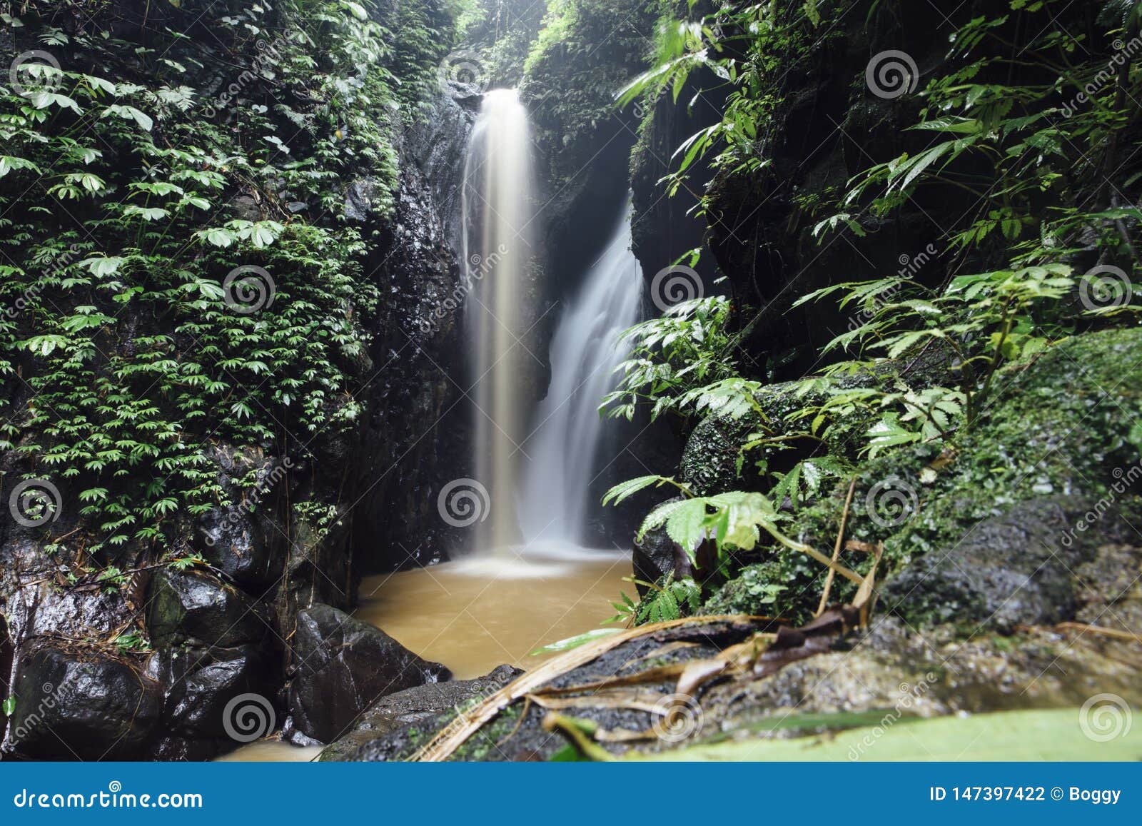 Gitgit Waterfall at Bali, Indonesia Stock Photo - Image of beautiful ...