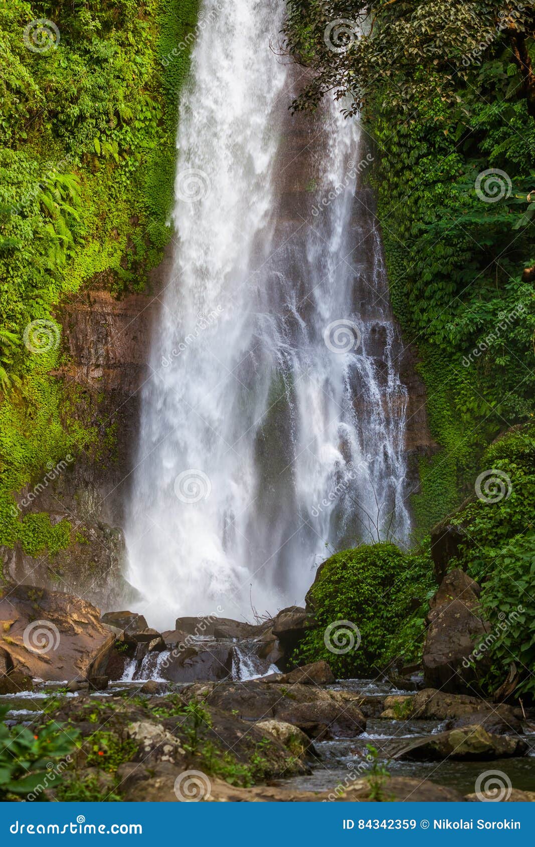 Gitgit Waterfall - Bali Island Indonesia Stock Image - Image of cliffs ...